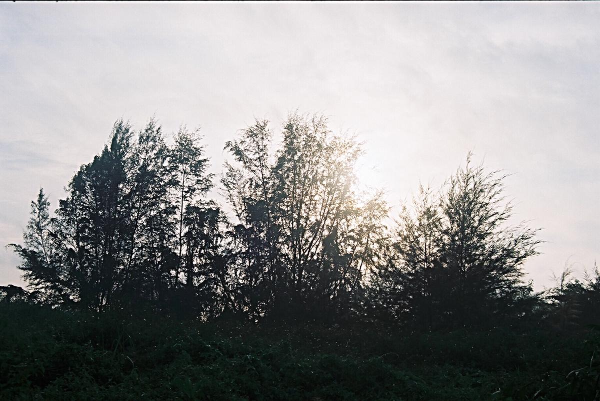 Analog Photography Wallpapers - Top Free Analog Photography Backgrounds ...