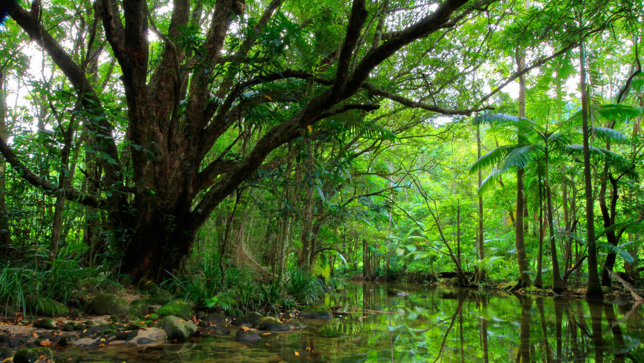 Peaceful Mountain Wallpapers - Top Free Peaceful Mountain Backgrounds ...