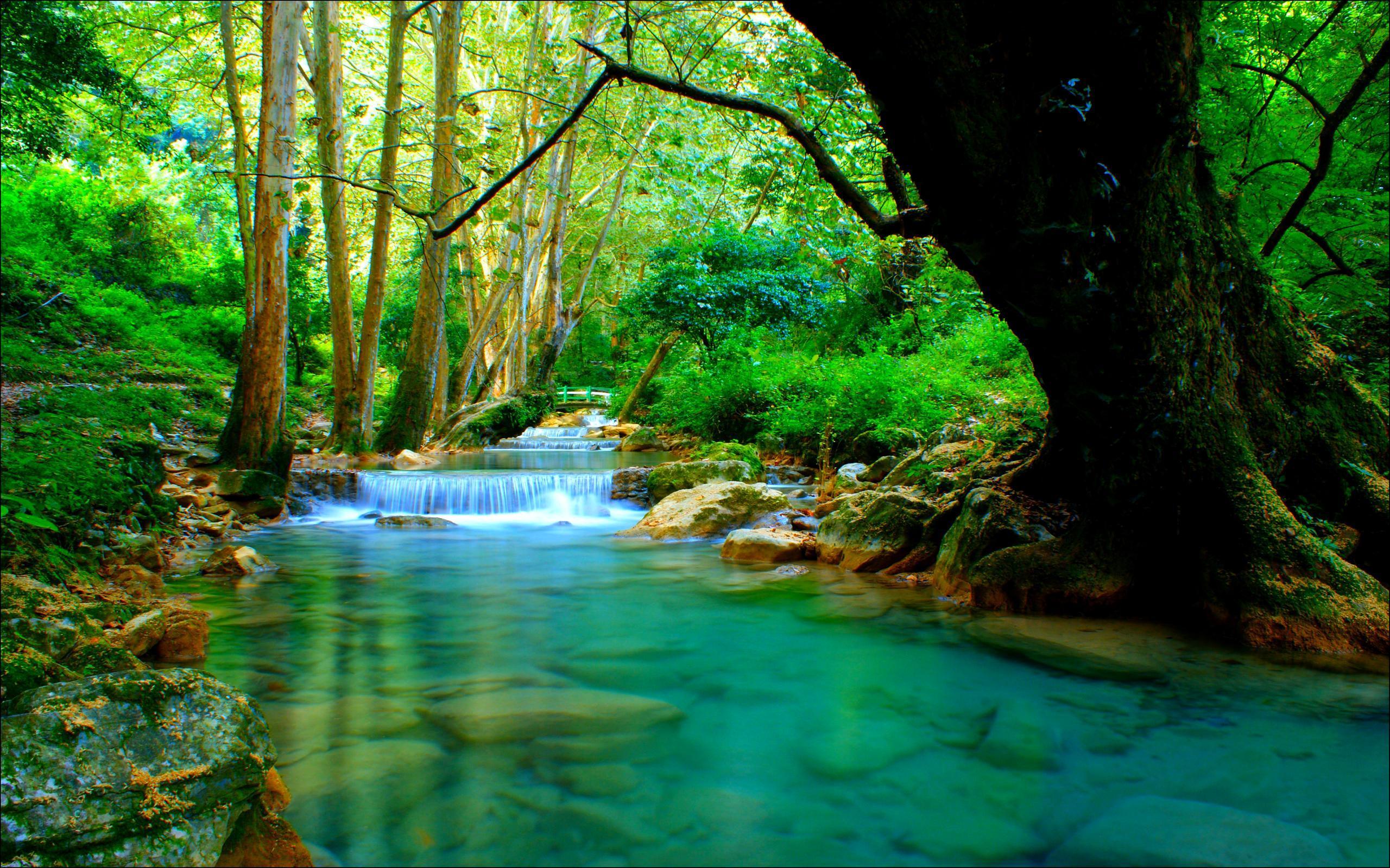 Forest Creek Wallpapers - Top Free Forest Creek Backgrounds ...
