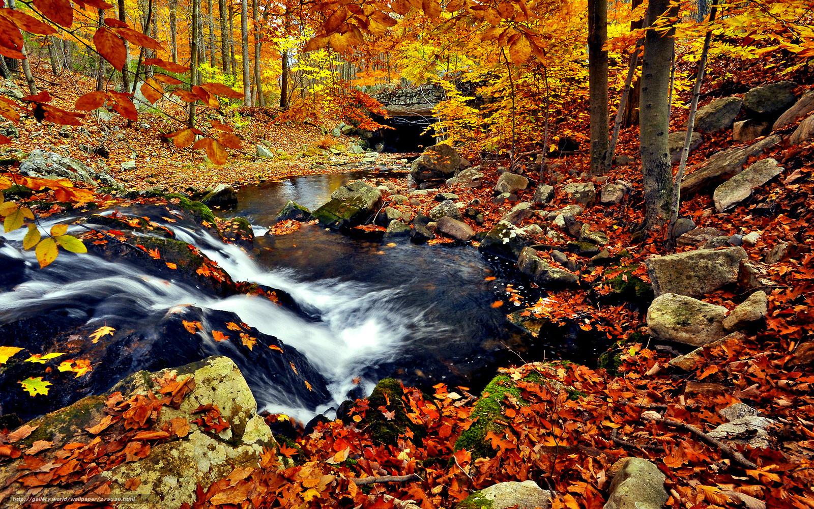 Autumn Creek Wallpapers - Top Free Autumn Creek Backgrounds ...