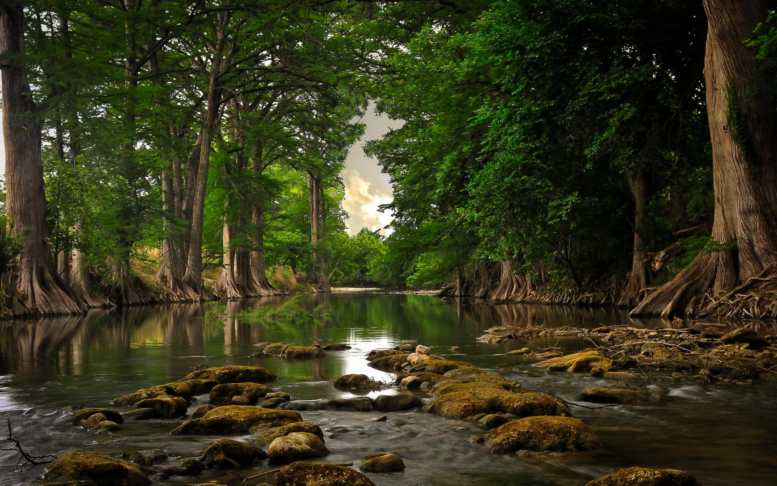 Forest Creek Wallpapers - Top Free Forest Creek Backgrounds ...