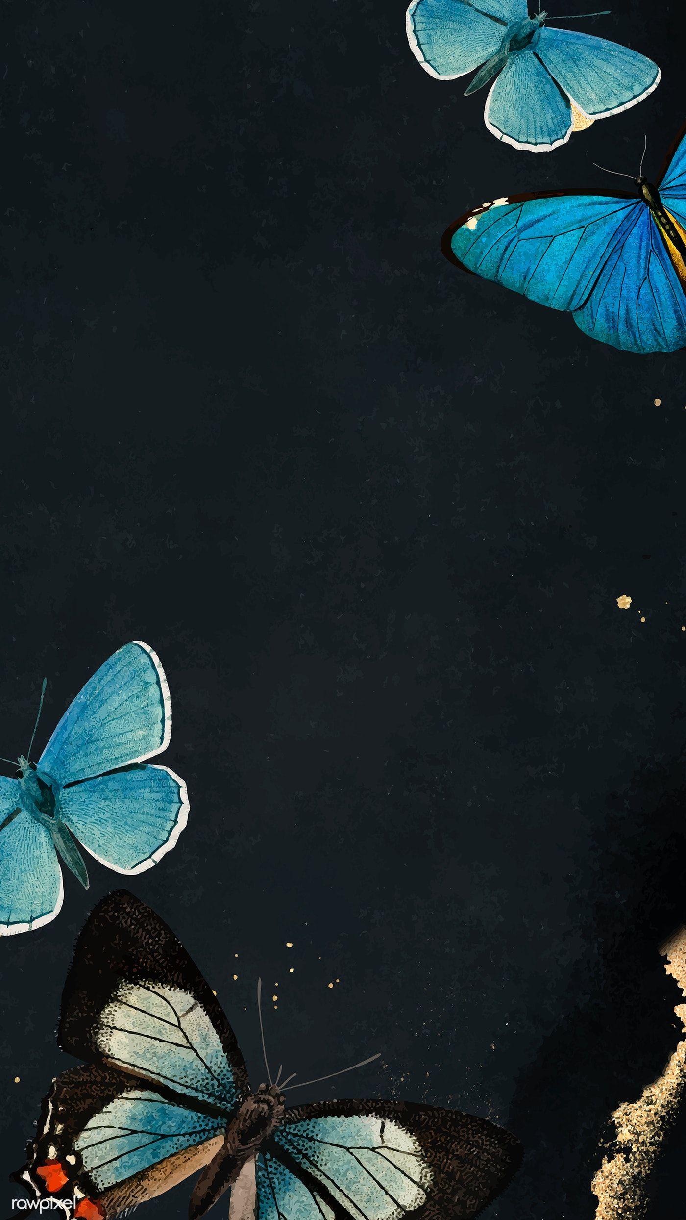 Dark Blue Butterfly Wallpapers - Top Free Dark Blue Butterfly ...