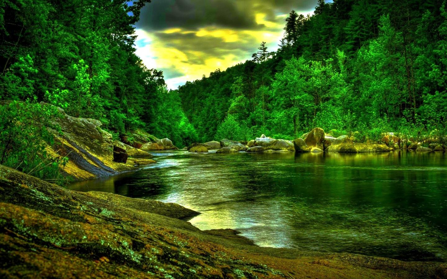 Forest Creek Wallpapers - Top Free Forest Creek Backgrounds ...