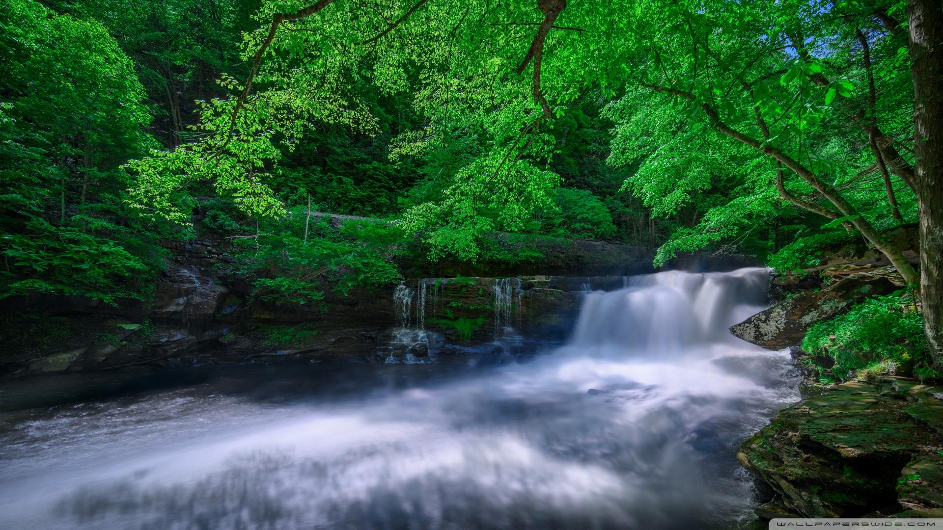 Forest Creek Wallpapers - Top Free Forest Creek Backgrounds ...