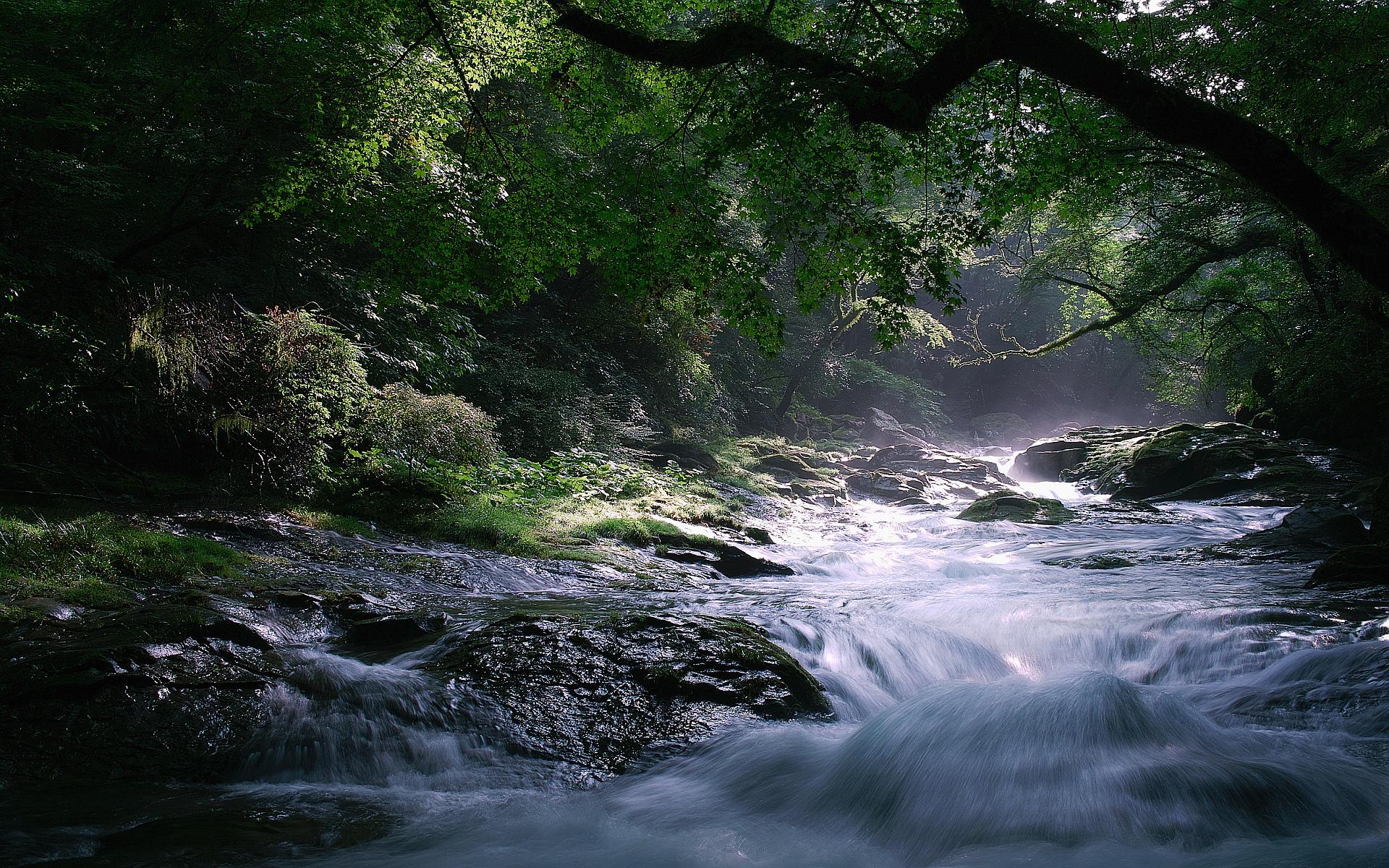 Forest Creek Wallpapers - Top Free Forest Creek Backgrounds ...