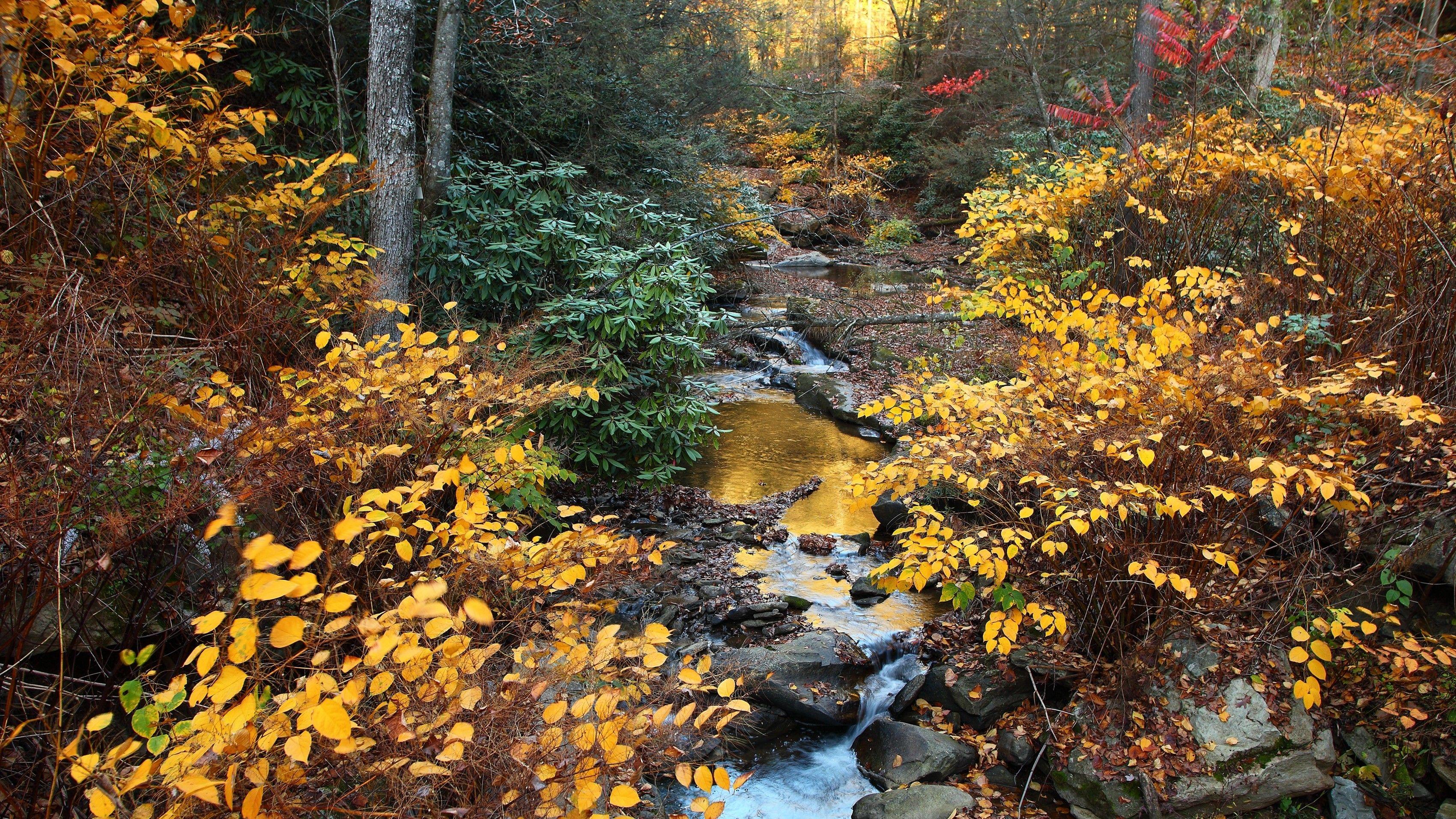 Autumn Creek Wallpapers - Top Free Autumn Creek Backgrounds ...