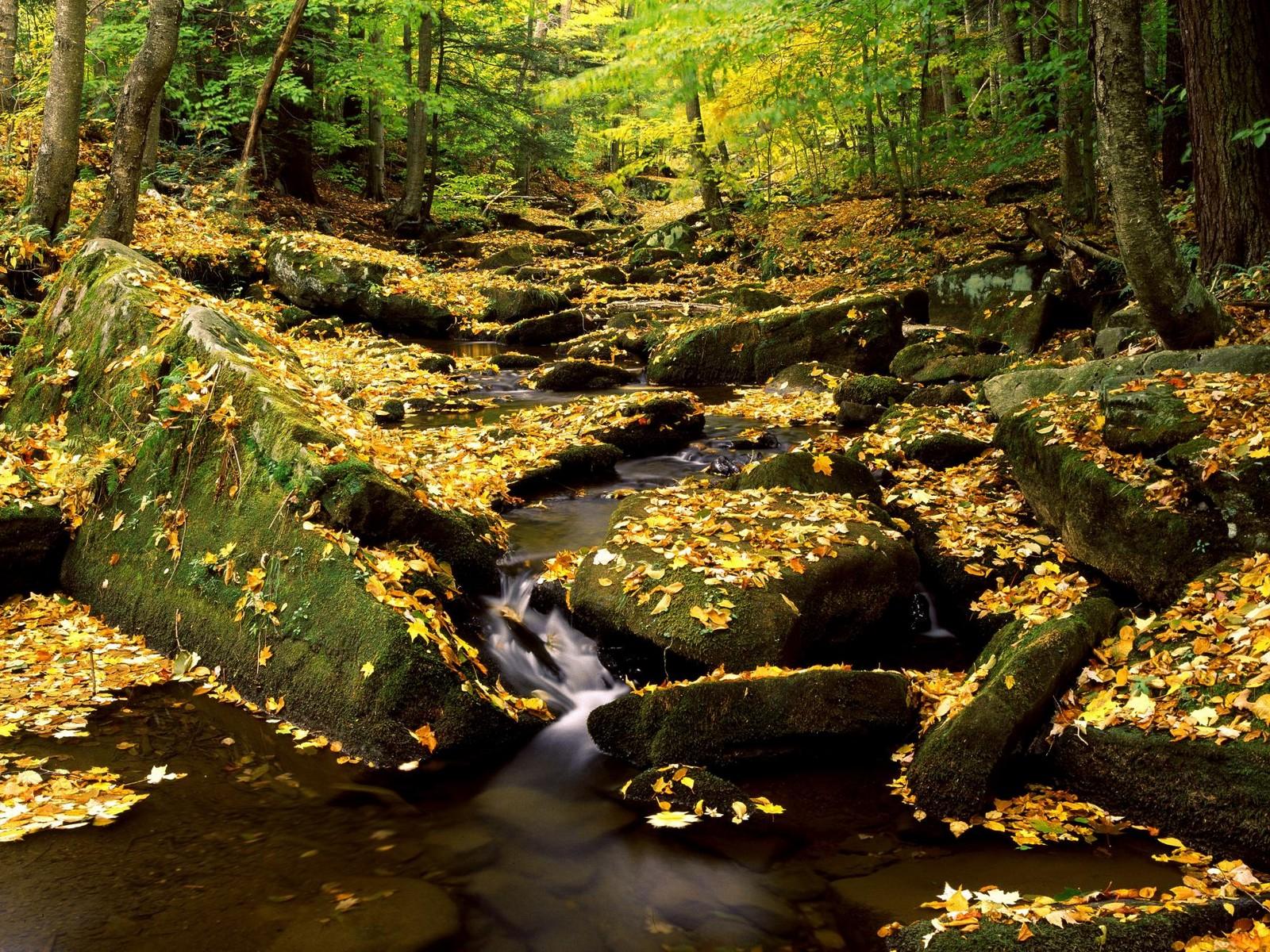 Autumn Creek Wallpapers - Top Free Autumn Creek Backgrounds ...