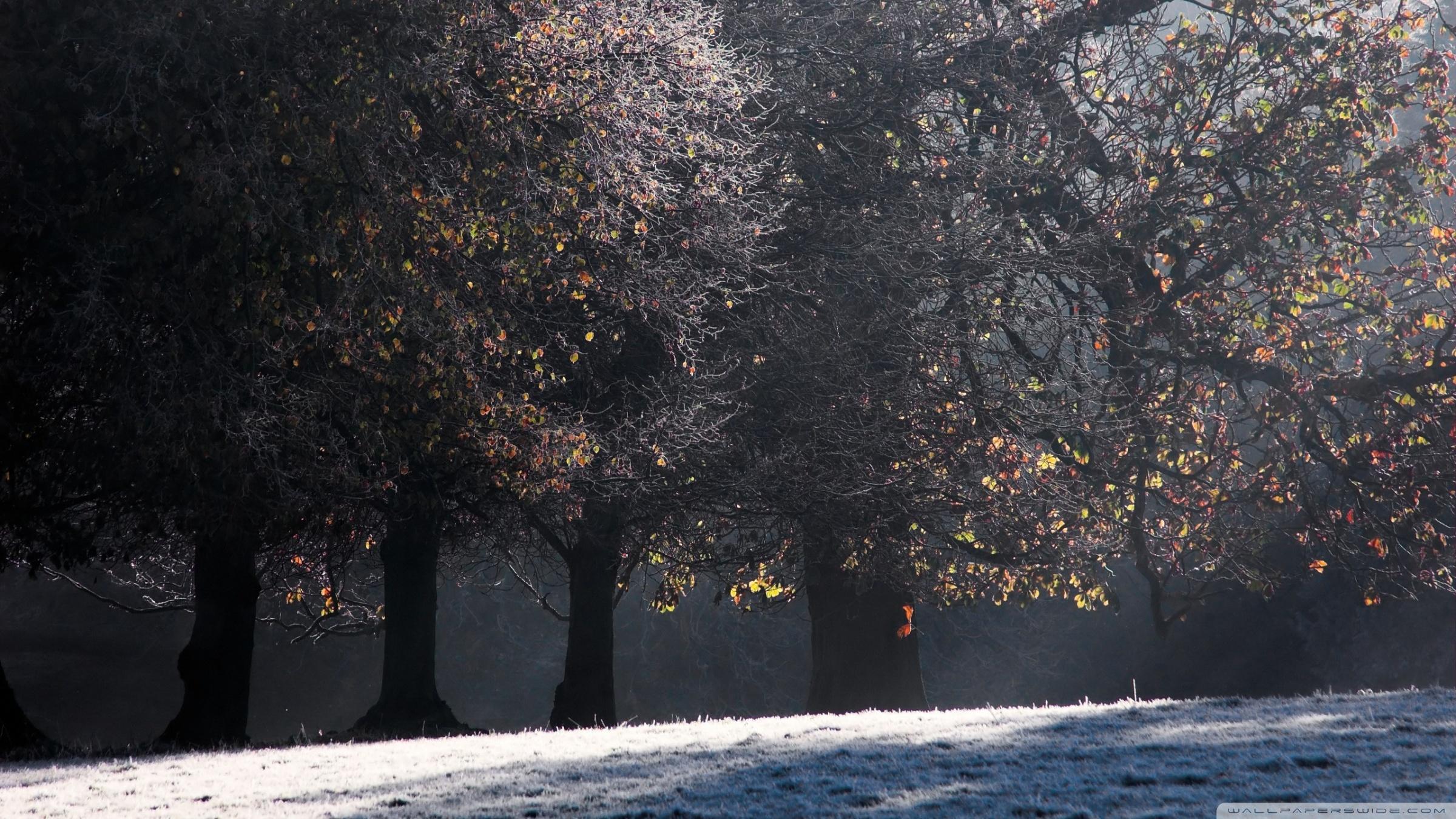 Late Winter Wallpapers - Top Free Late Winter Backgrounds - WallpaperAccess