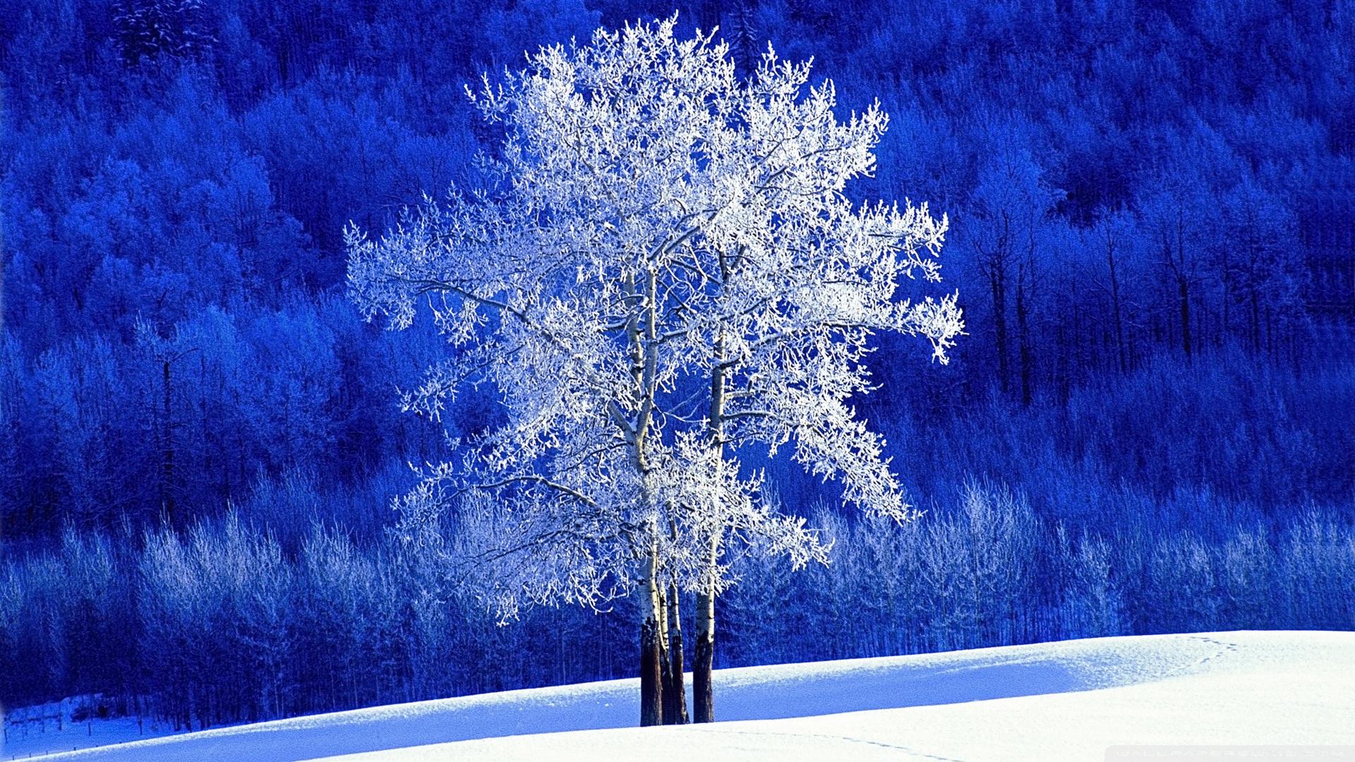 British Columbia Winter Wallpapers - Top Free British Columbia Winter ...