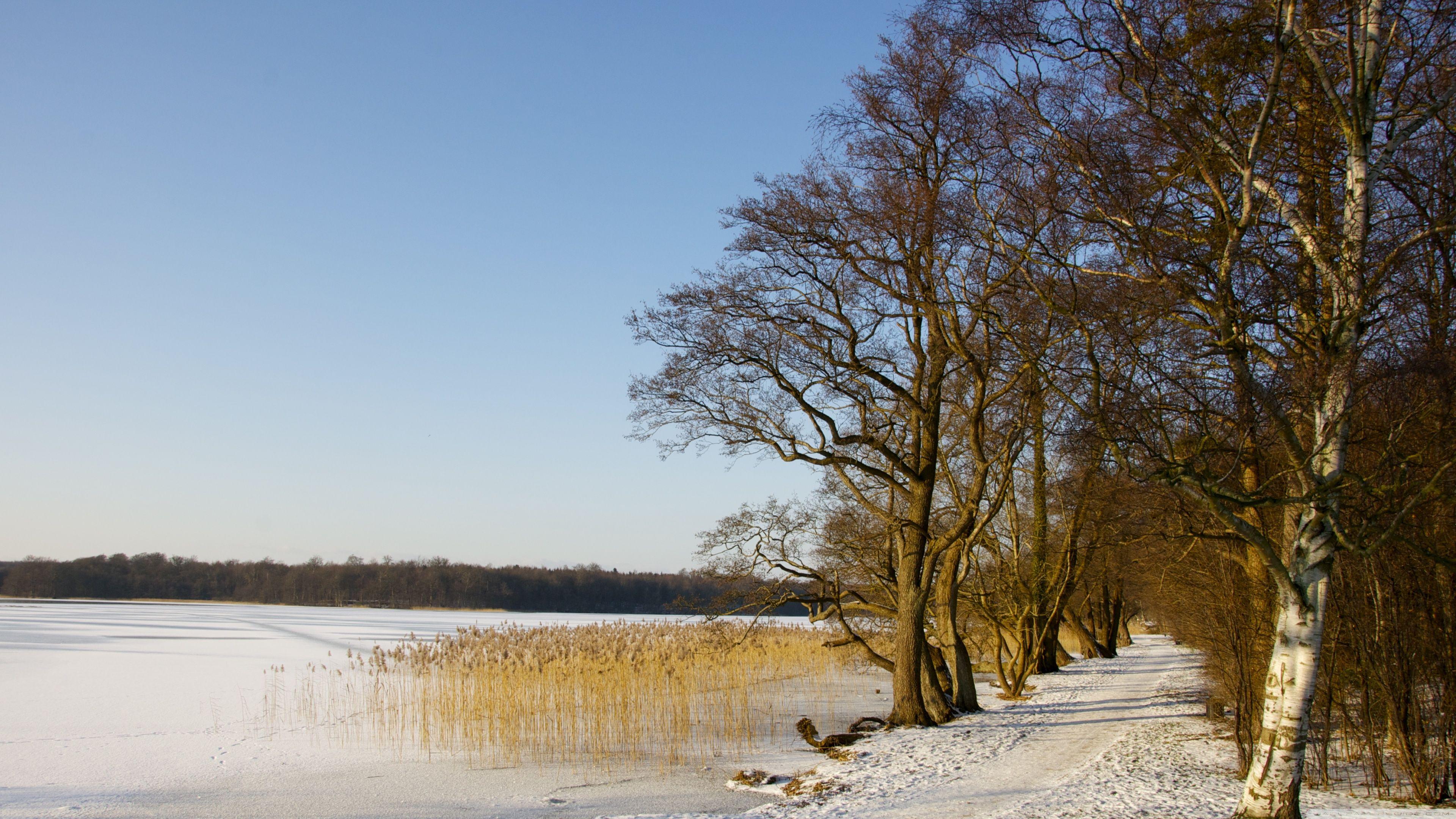 Denmark Winter Wallpapers - Top Free Denmark Winter Backgrounds ...