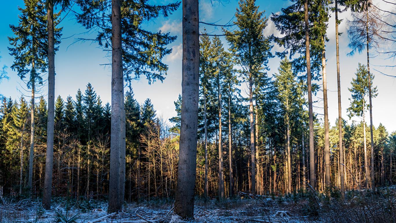 Denmark Winter Wallpapers - Top Free Denmark Winter Backgrounds ...