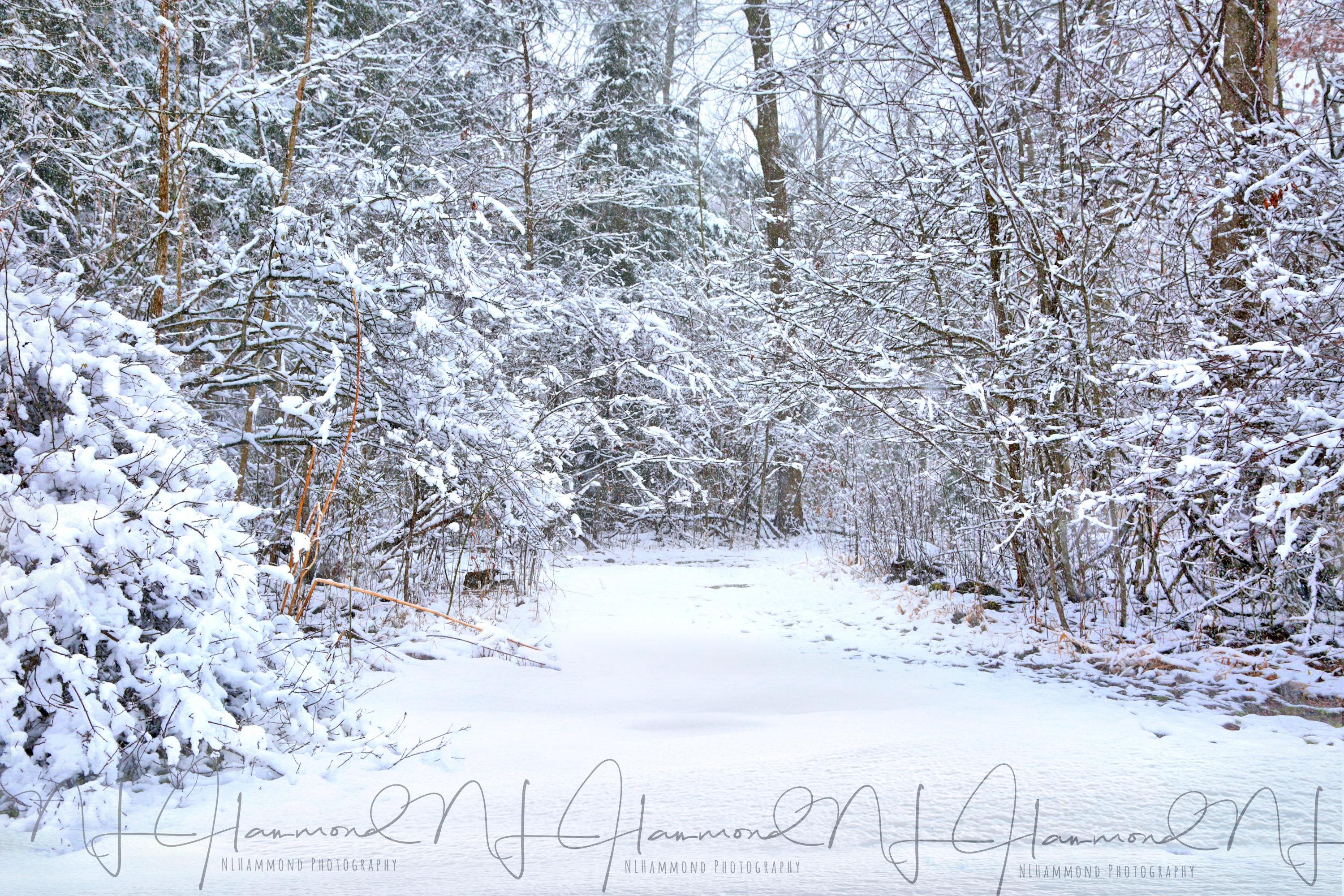 Denmark Winter Wallpapers - Top Free Denmark Winter Backgrounds ...