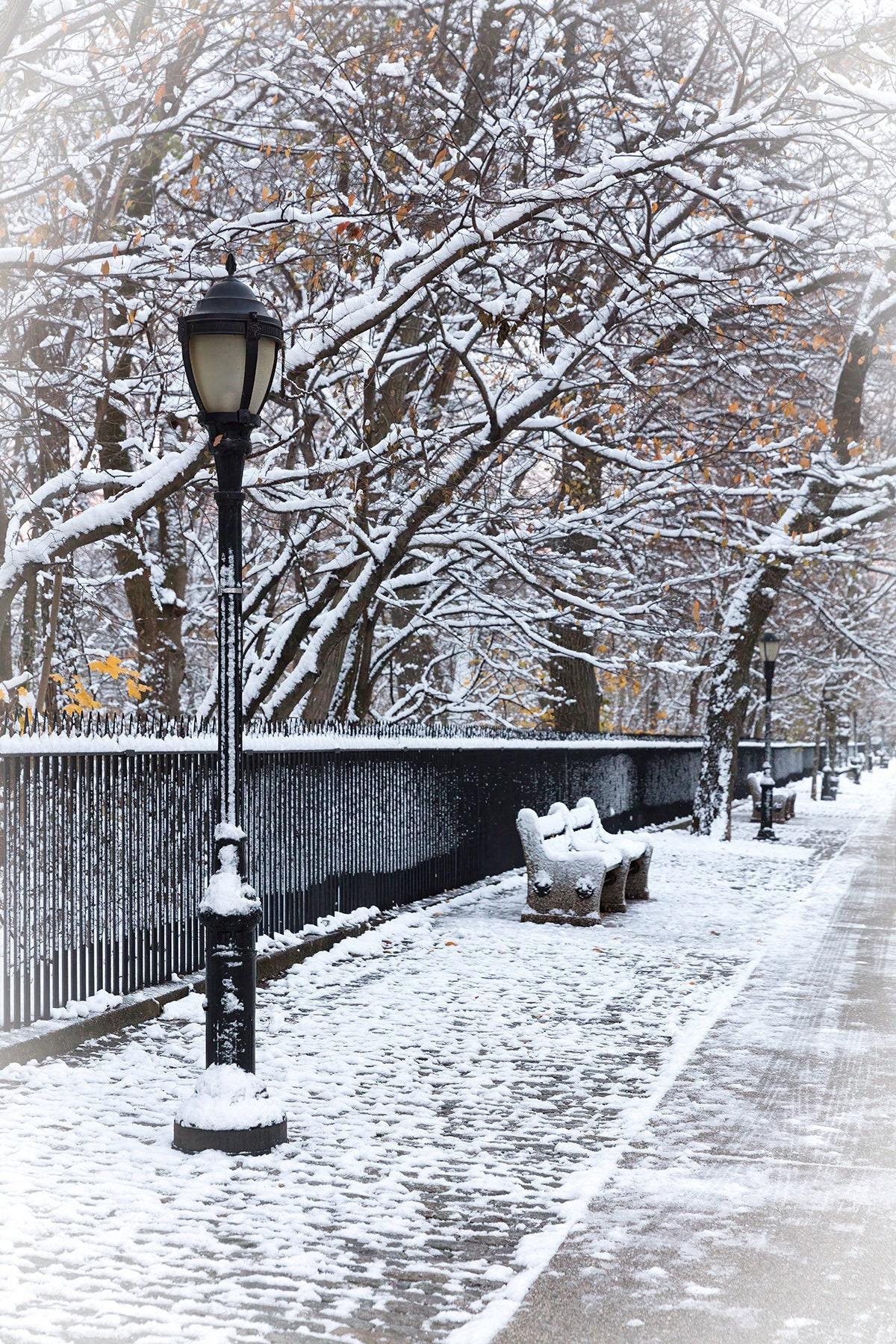 Denmark Winter Wallpapers - Top Free Denmark Winter Backgrounds ...