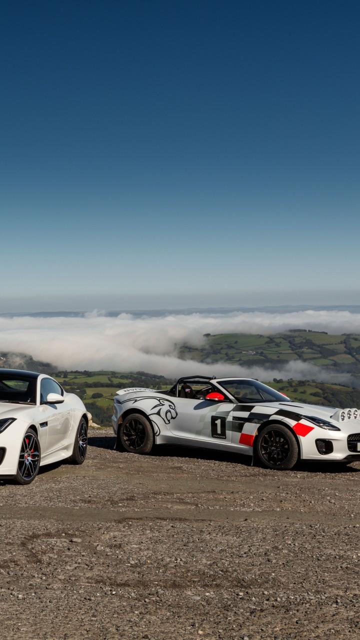 8K Rally Wallpapers - Top Free 8K Rally Backgrounds - WallpaperAccess