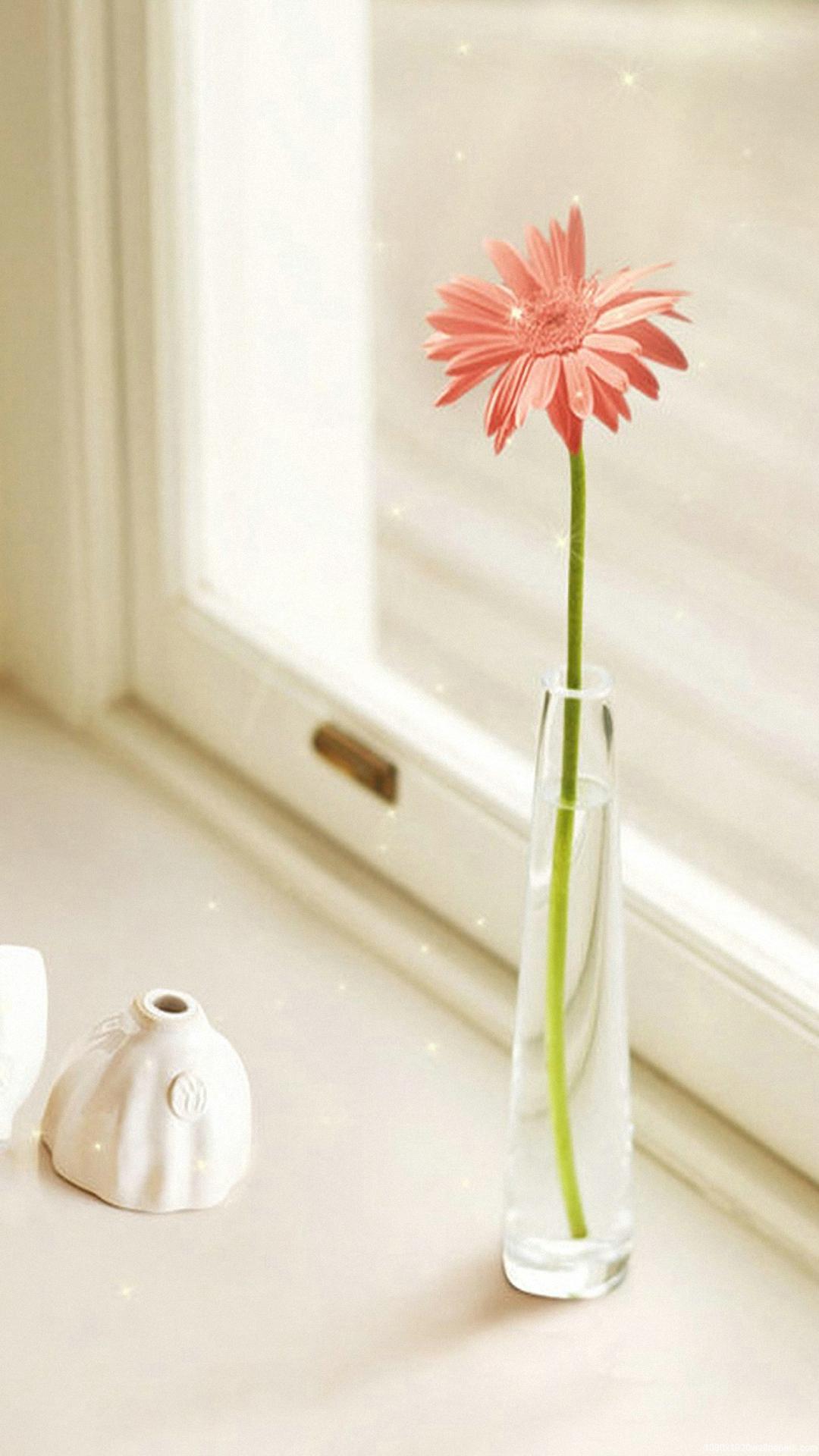 Cute Simple Flower Wallpapers - Top Free Cute Simple Flower Backgrounds ...