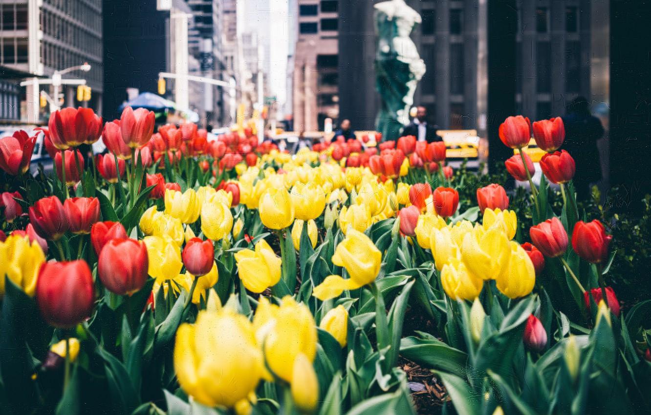 NYC Spring Wallpapers - Top Free NYC Spring Backgrounds - WallpaperAccess