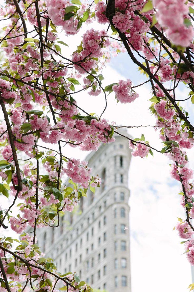 NYC Spring Wallpapers - Top Free NYC Spring Backgrounds - WallpaperAccess