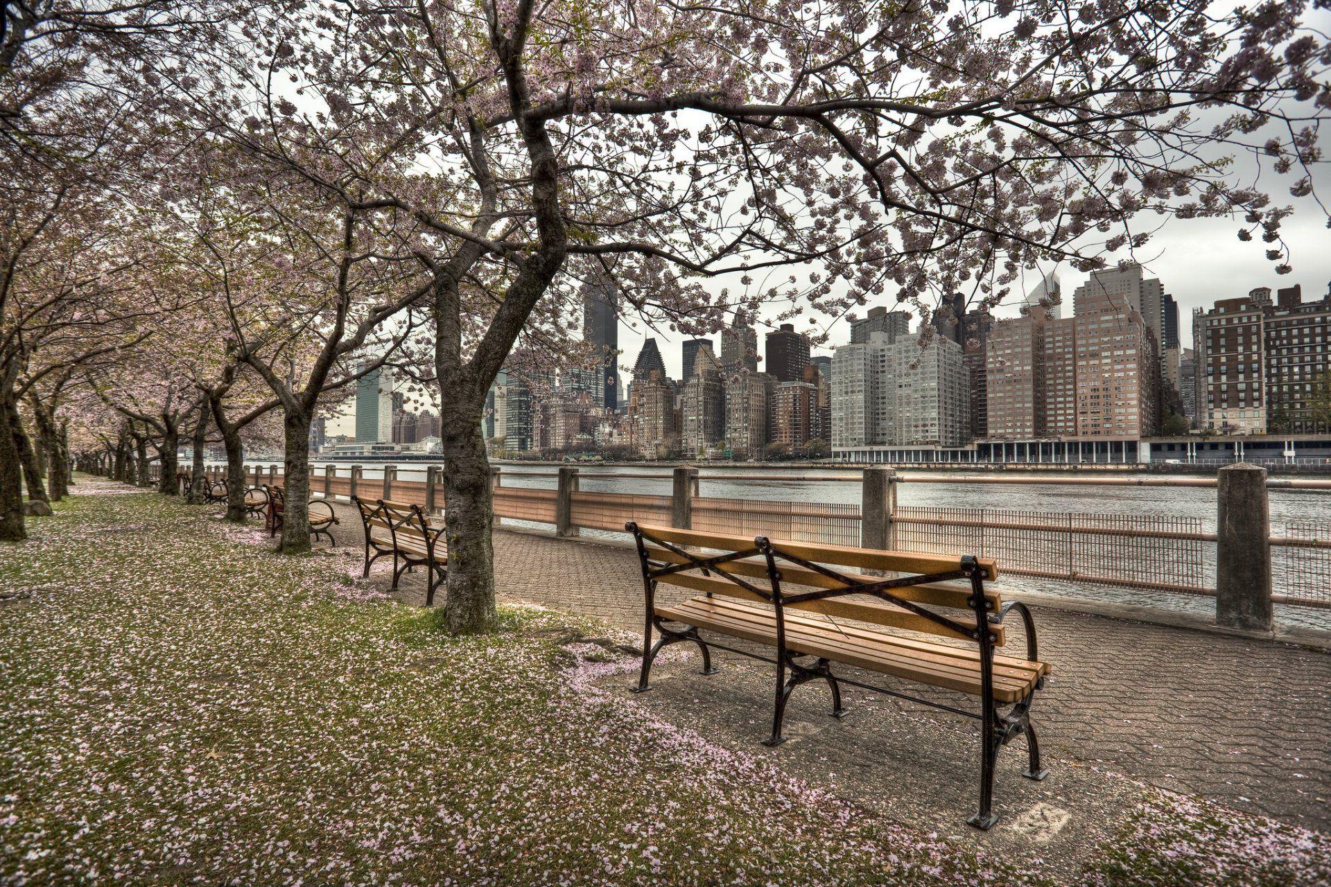 NYC Spring Wallpapers - Top Free NYC Spring Backgrounds - WallpaperAccess