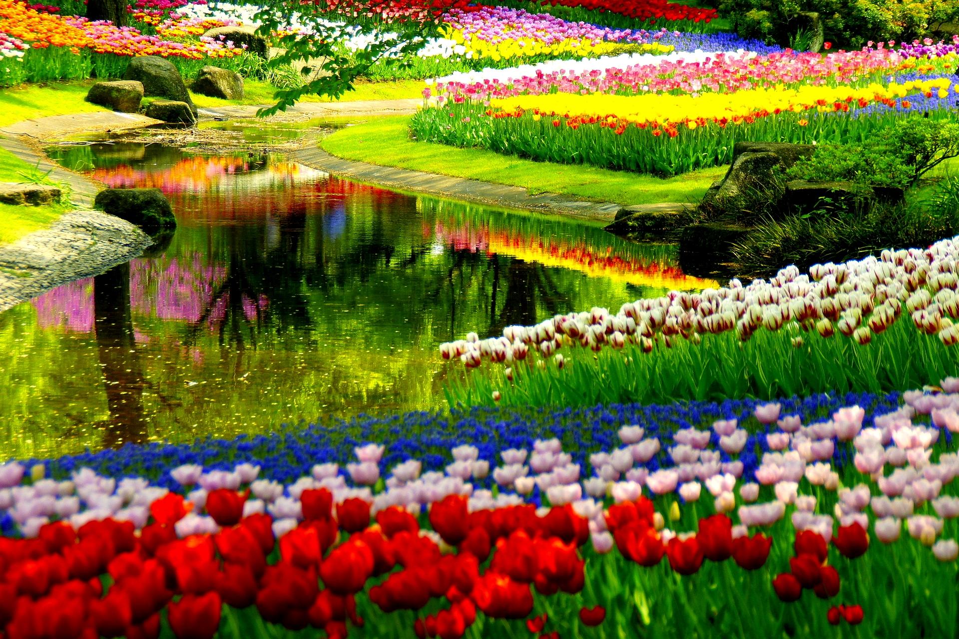 NYC Spring Wallpapers - Top Free NYC Spring Backgrounds - WallpaperAccess