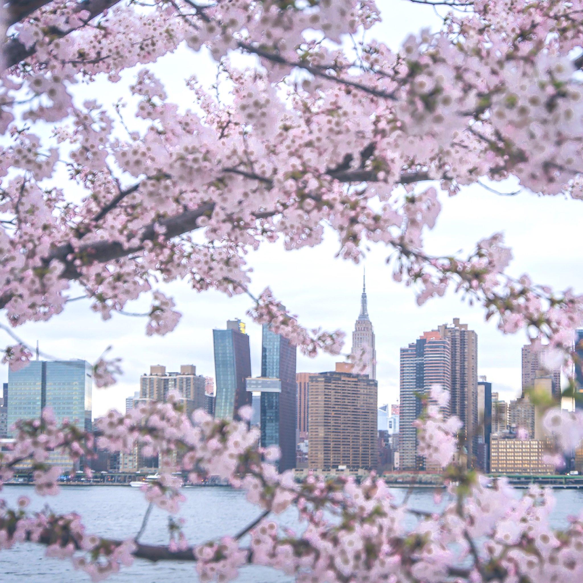 NYC Spring Wallpapers - Top Free NYC Spring Backgrounds - WallpaperAccess