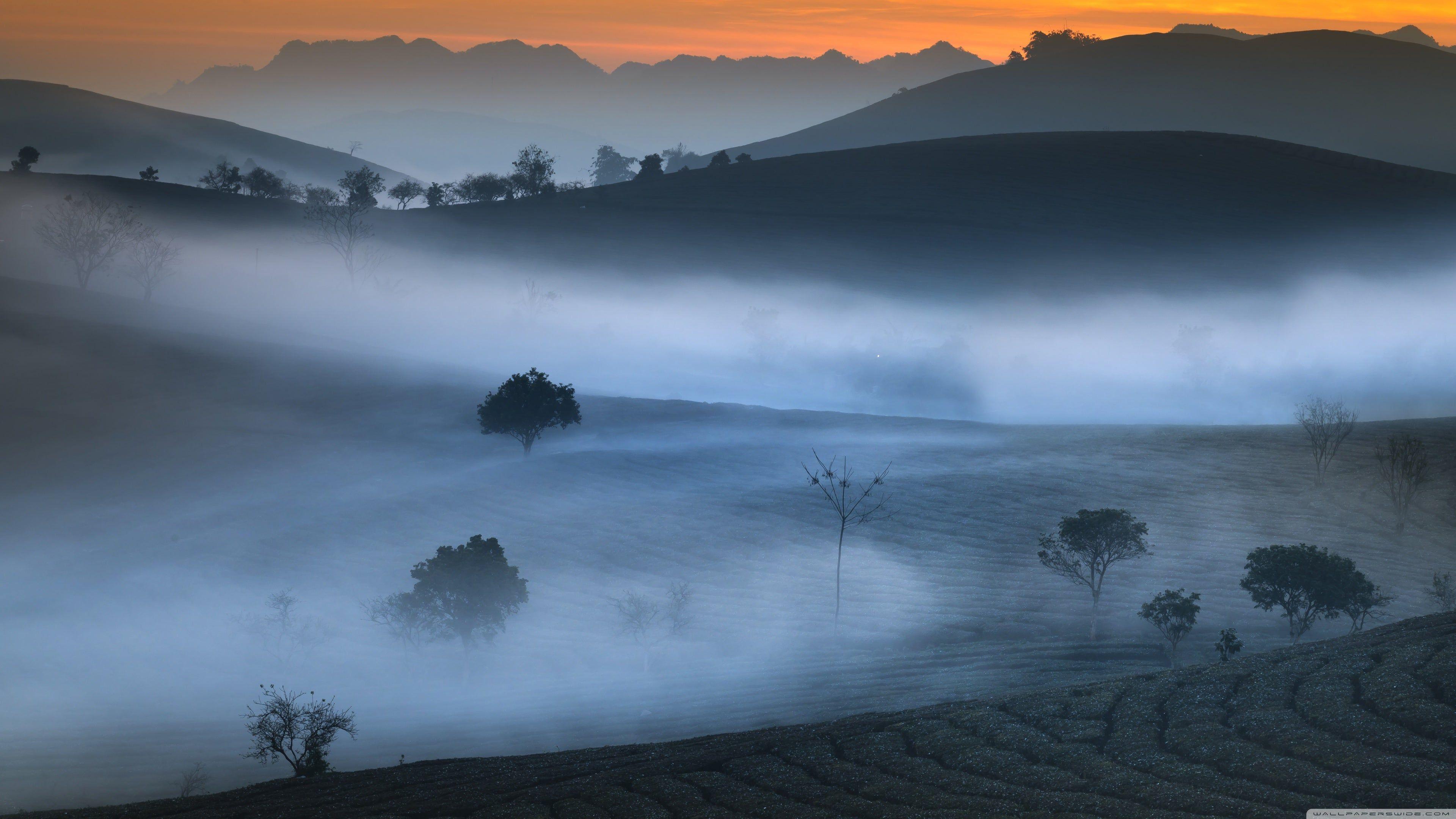 Field Computer Wallpapers - Top Free Field Computer Backgrounds ...