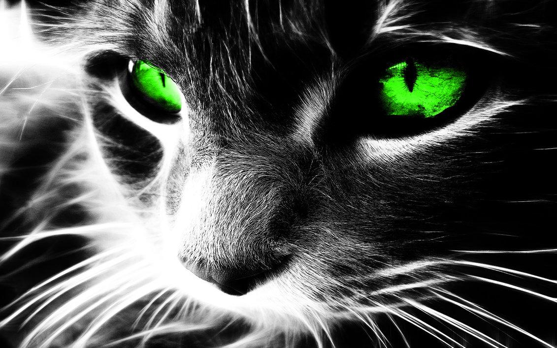 Neon Eye Wallpapers - Top Free Neon Eye Backgrounds - WallpaperAccess