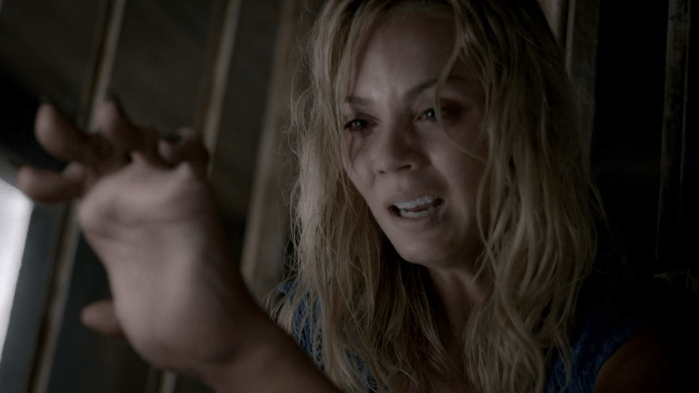 Bitten Wallpapers - Top Free Bitten Backgrounds - WallpaperAccess