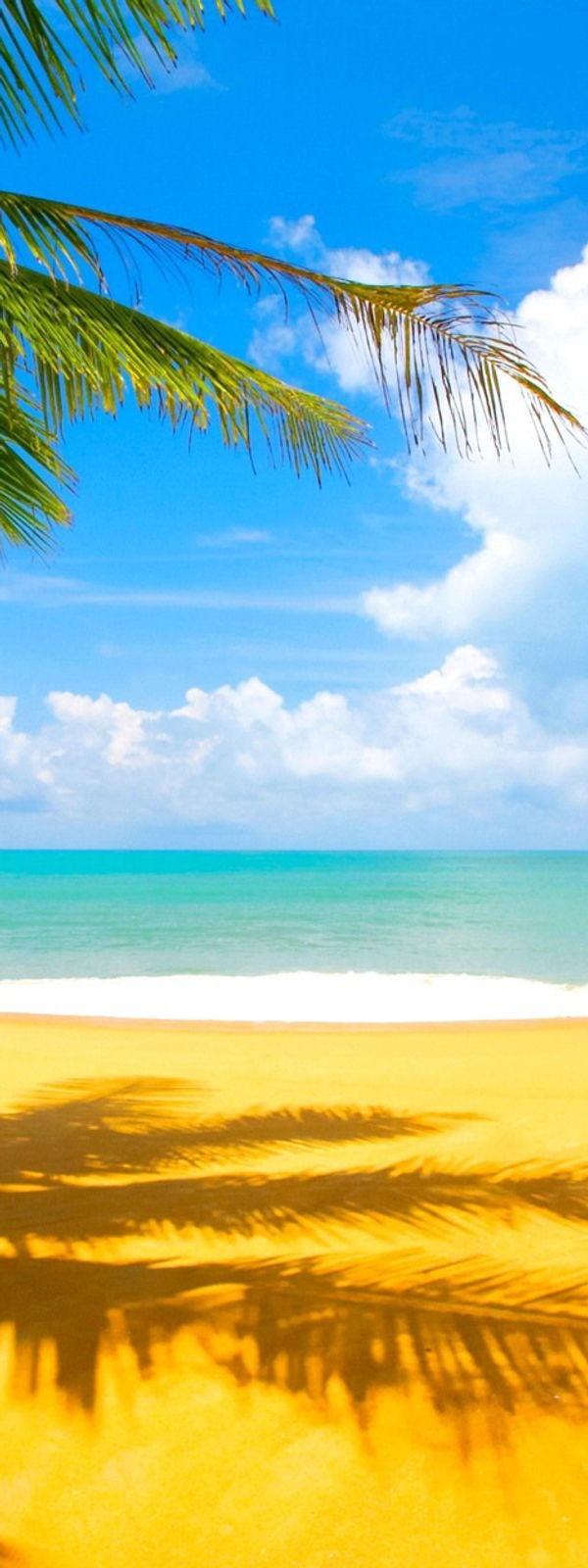 600x1600 Wallpapers - Top Free 600x1600 Backgrounds - WallpaperAccess