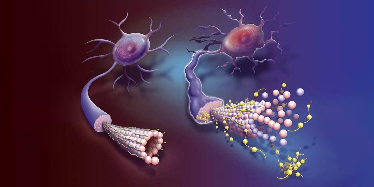 Metabolism Wallpapers - Top Free Metabolism Backgrounds - WallpaperAccess