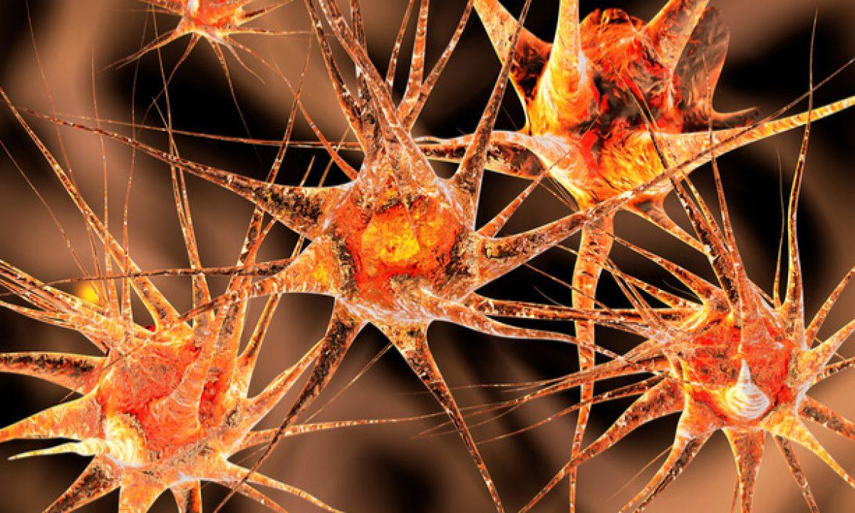 Metabolism Wallpapers - Top Free Metabolism Backgrounds - WallpaperAccess