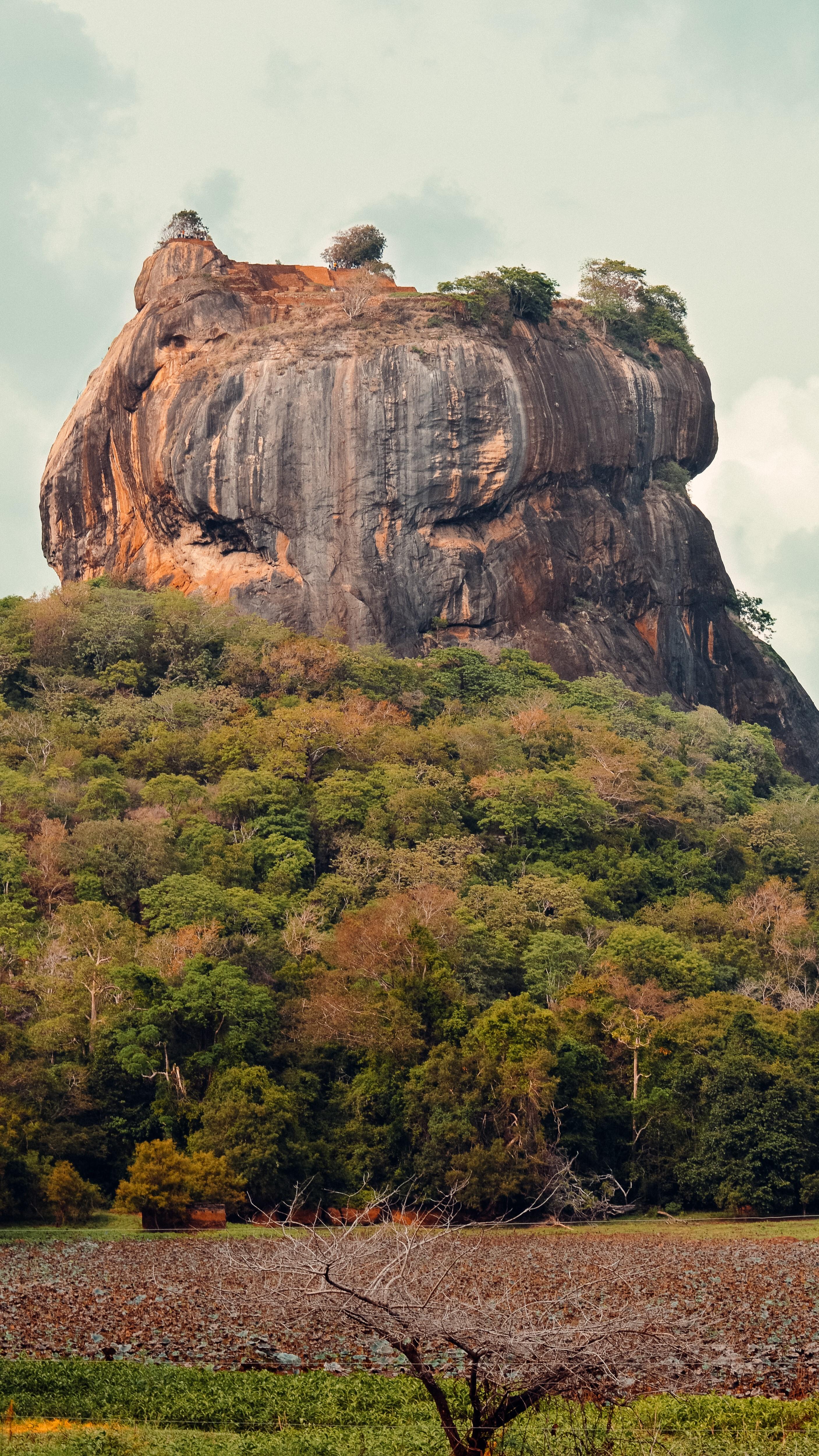 Sigiriya Wallpapers - Top Free Sigiriya Backgrounds - WallpaperAccess