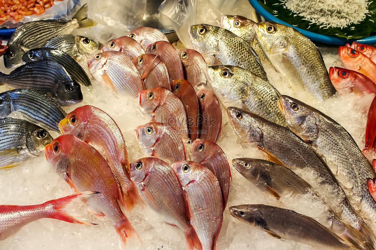 Fish Market Wallpapers - Top Free Fish Market Backgrounds - WallpaperAccess