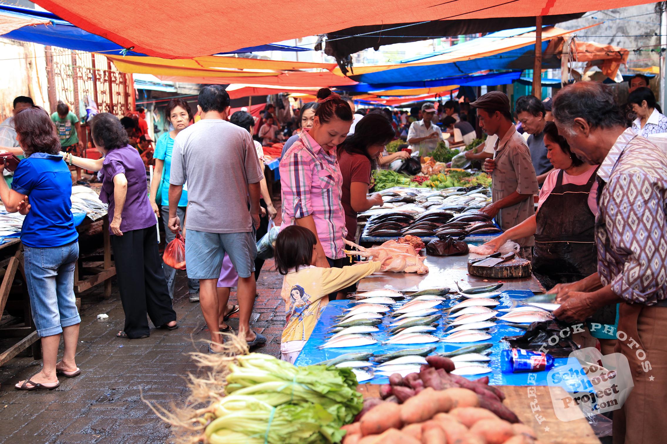 Fish Market Wallpapers - Top Free Fish Market Backgrounds - WallpaperAccess