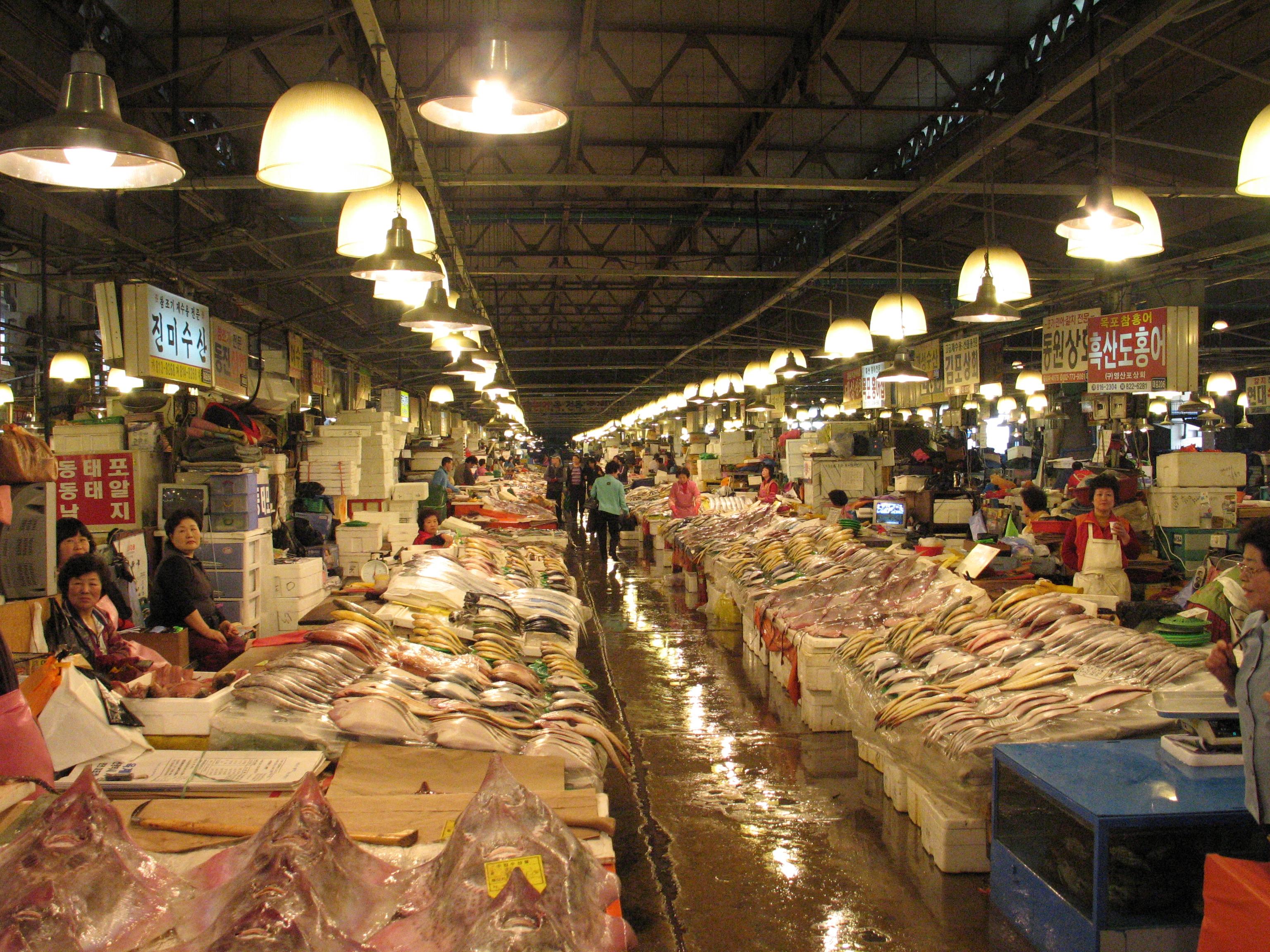 Fish Market Wallpapers - Top Free Fish Market Backgrounds - WallpaperAccess