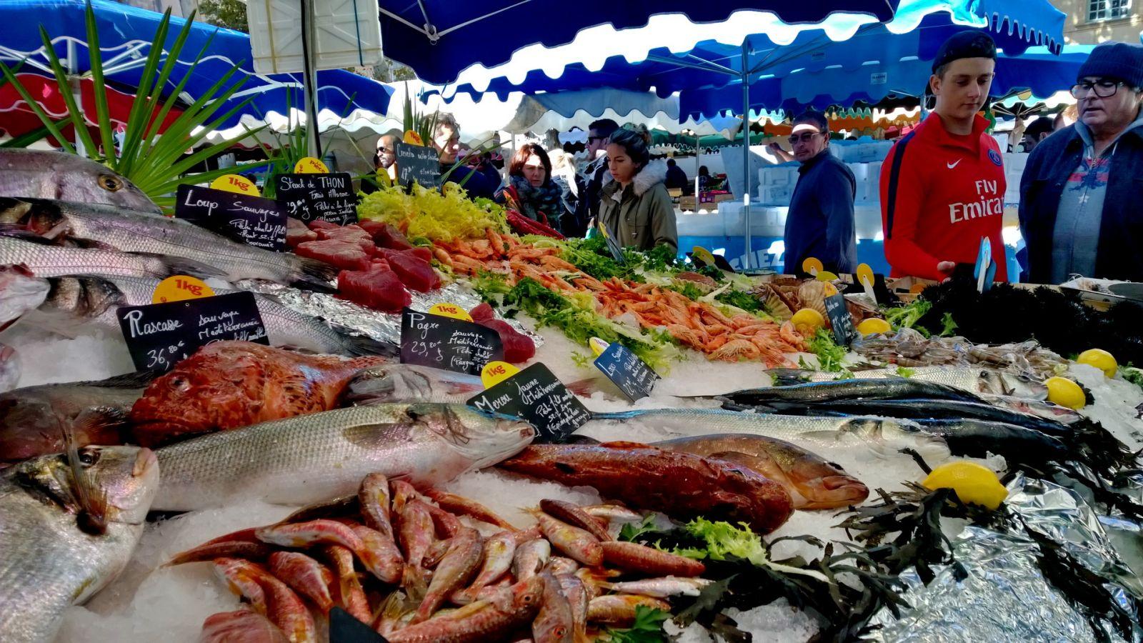 Fish Market Wallpapers - Top Free Fish Market Backgrounds - WallpaperAccess