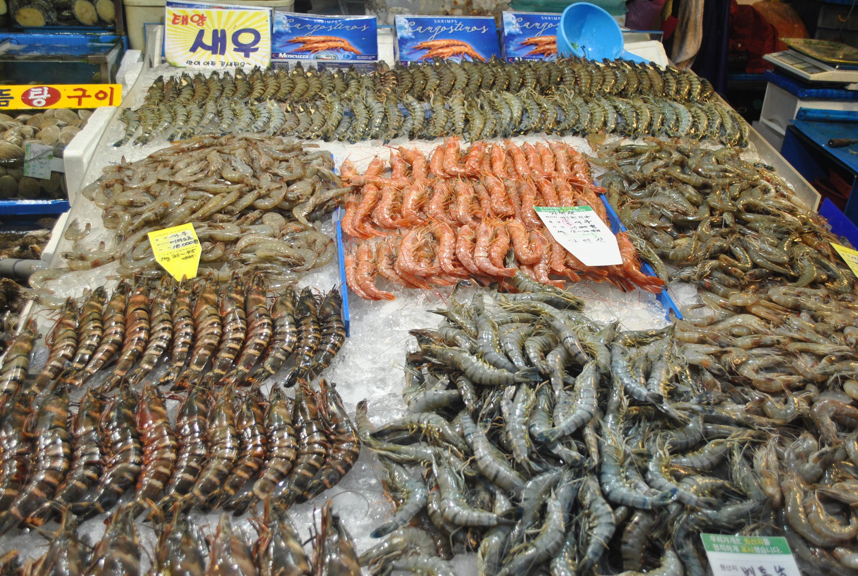 Fish Market Wallpapers - Top Free Fish Market Backgrounds - WallpaperAccess