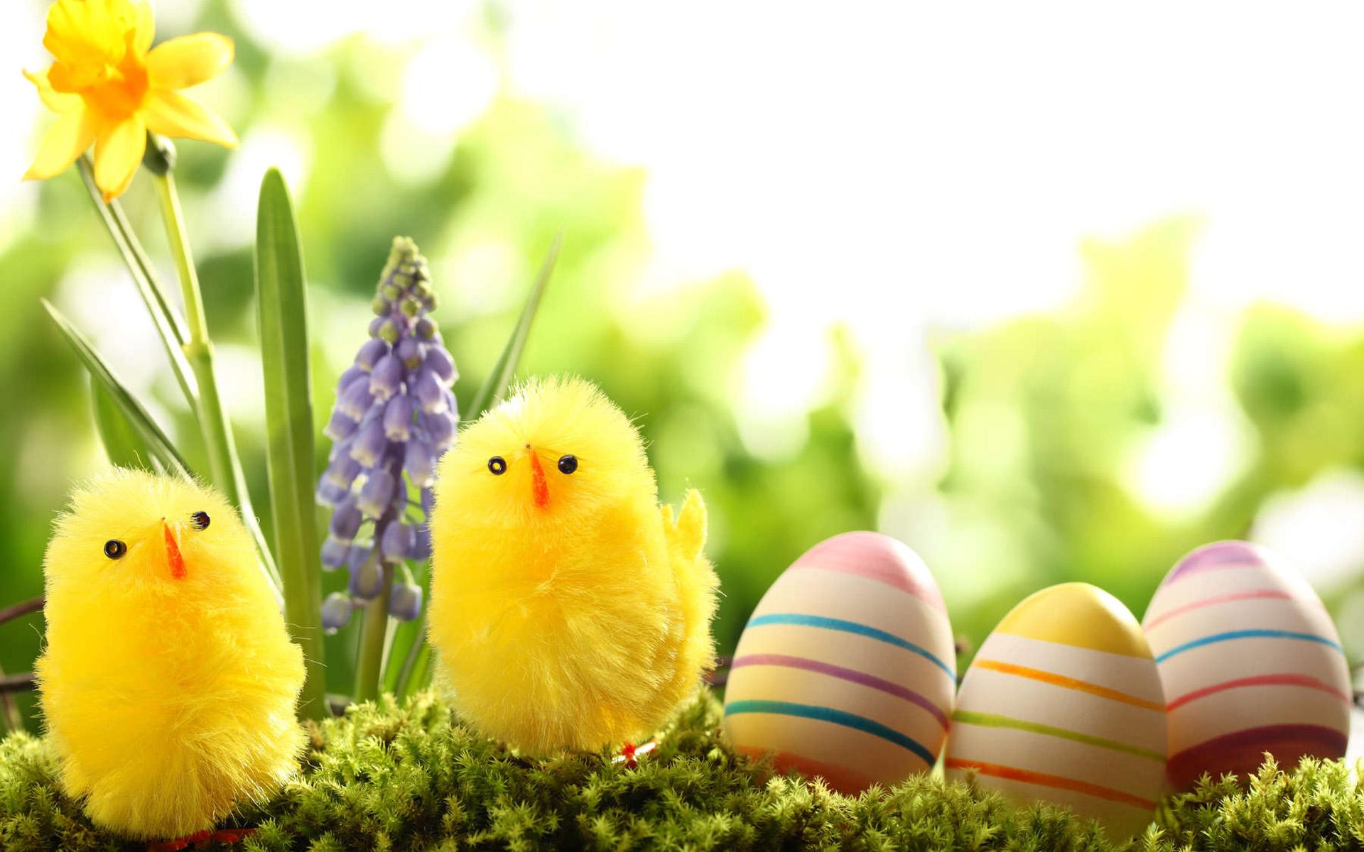 Easter Day Wallpapers - Top Free Easter Day Backgrounds - WallpaperAccess