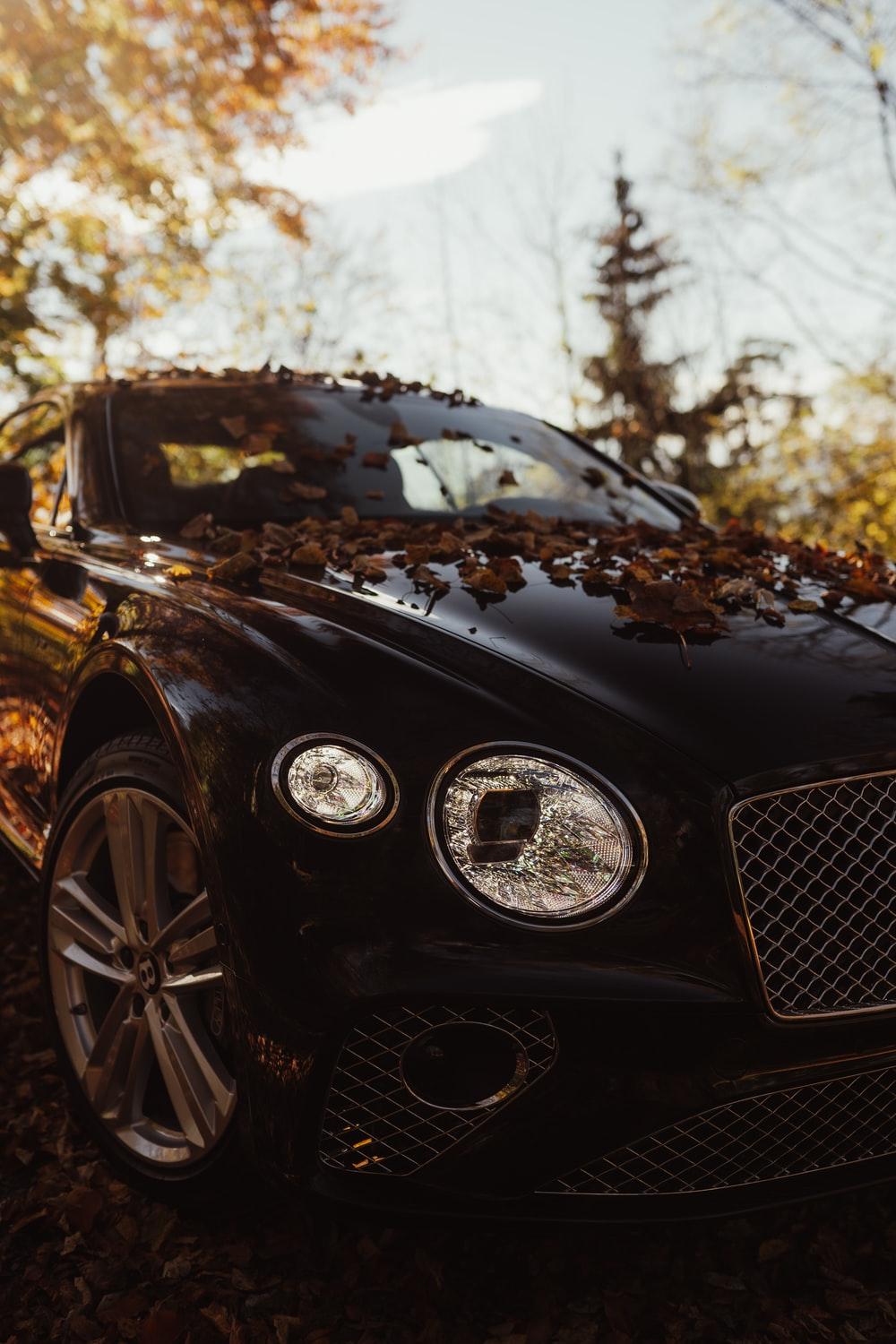 Black Bentley Continental GT Wallpapers - Top Free Black Bentley ...
