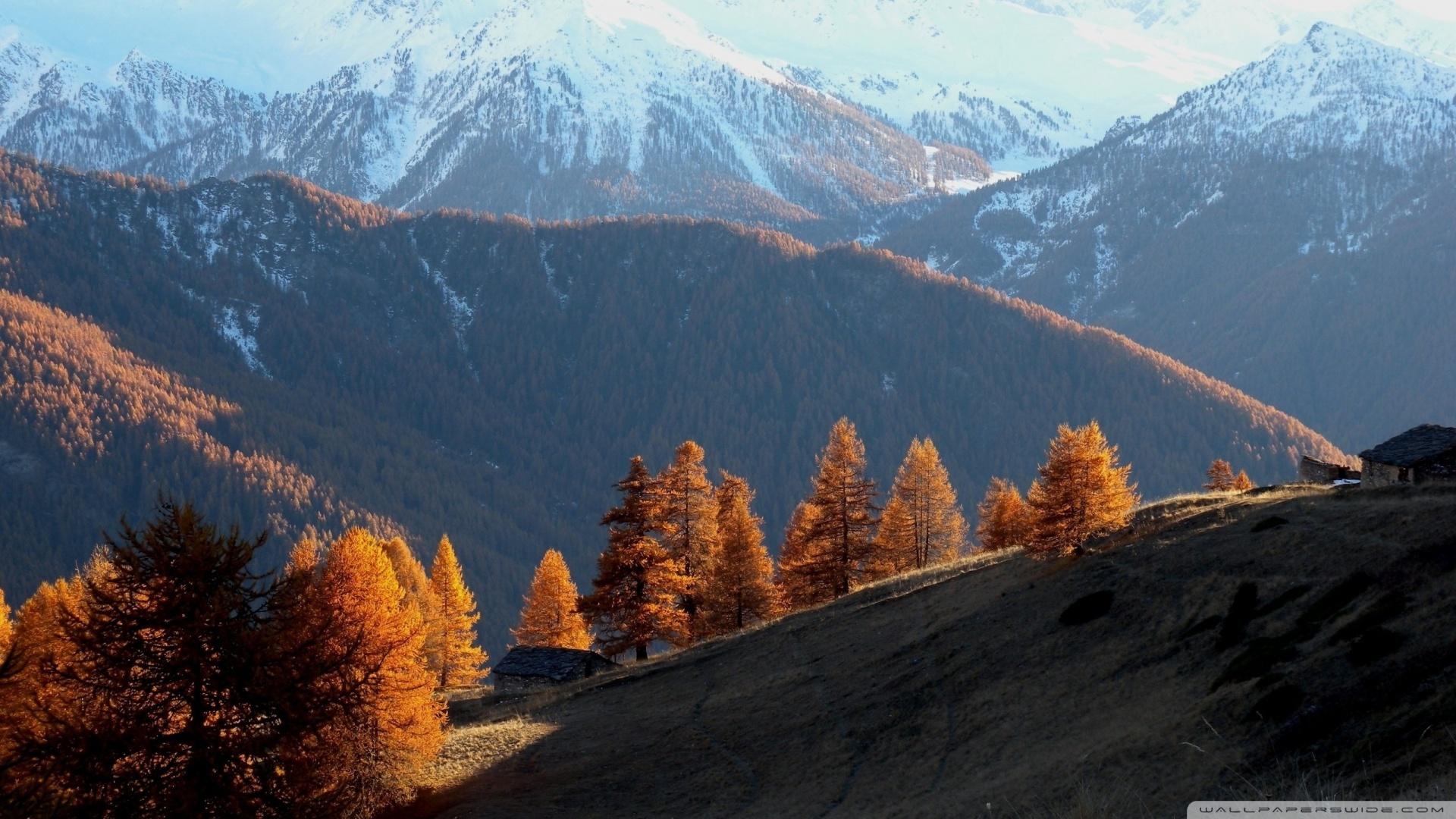 Early Winter Wallpapers - Top Free Early Winter Backgrounds ...