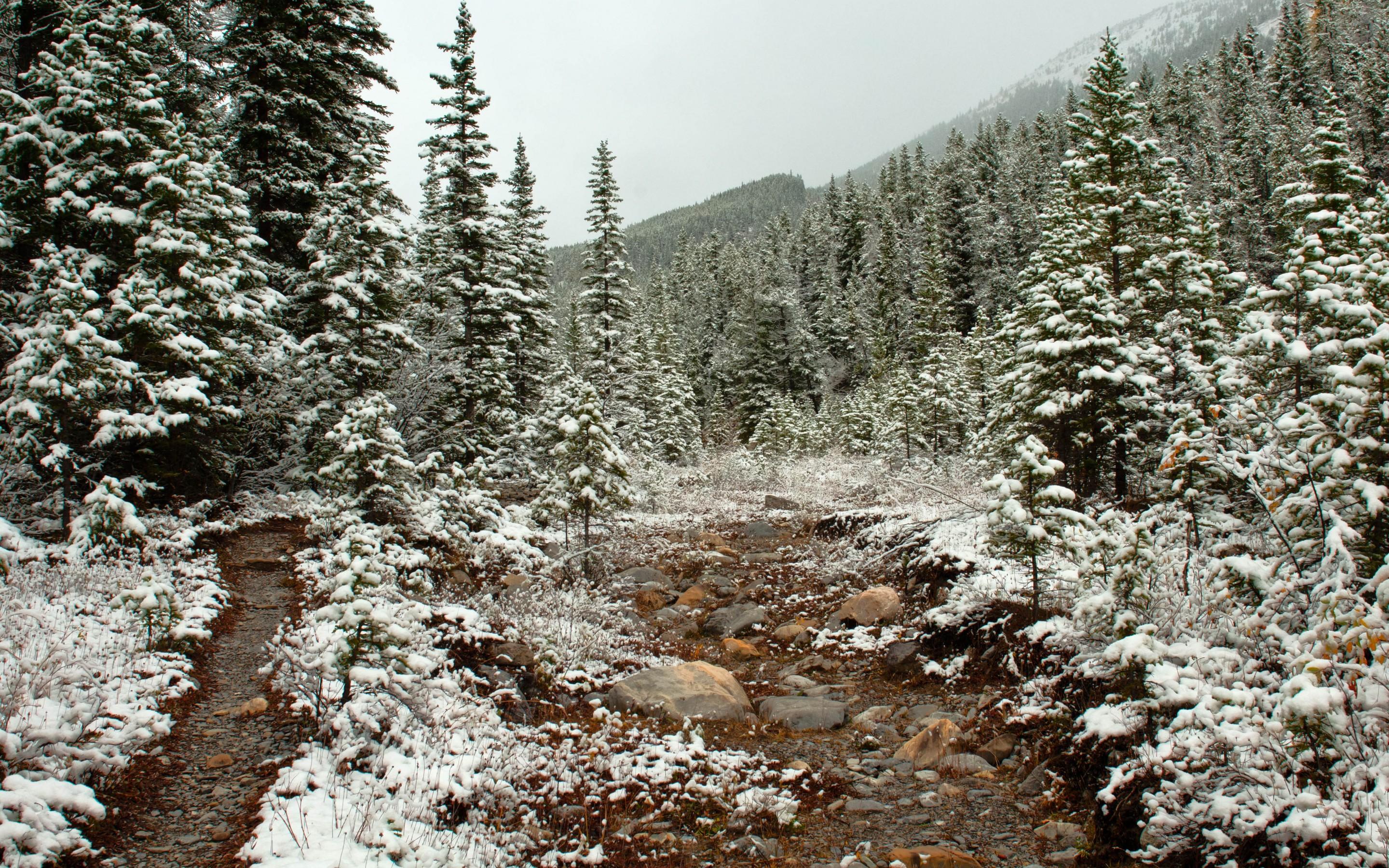 Early Winter Wallpapers - Top Free Early Winter Backgrounds ...