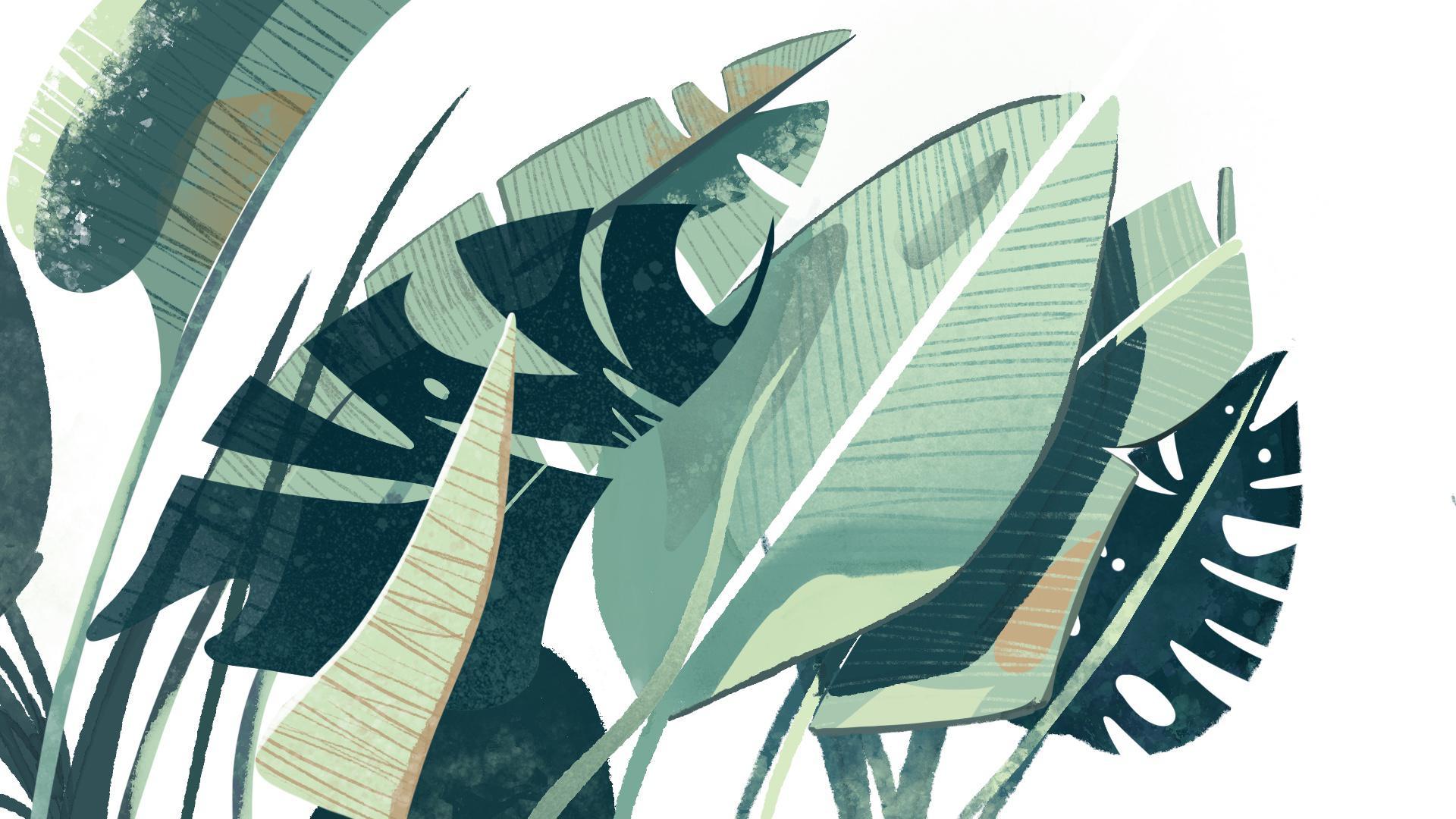 Indoor Plant Desktop Wallpapers - Top Free Indoor Plant Desktop ...