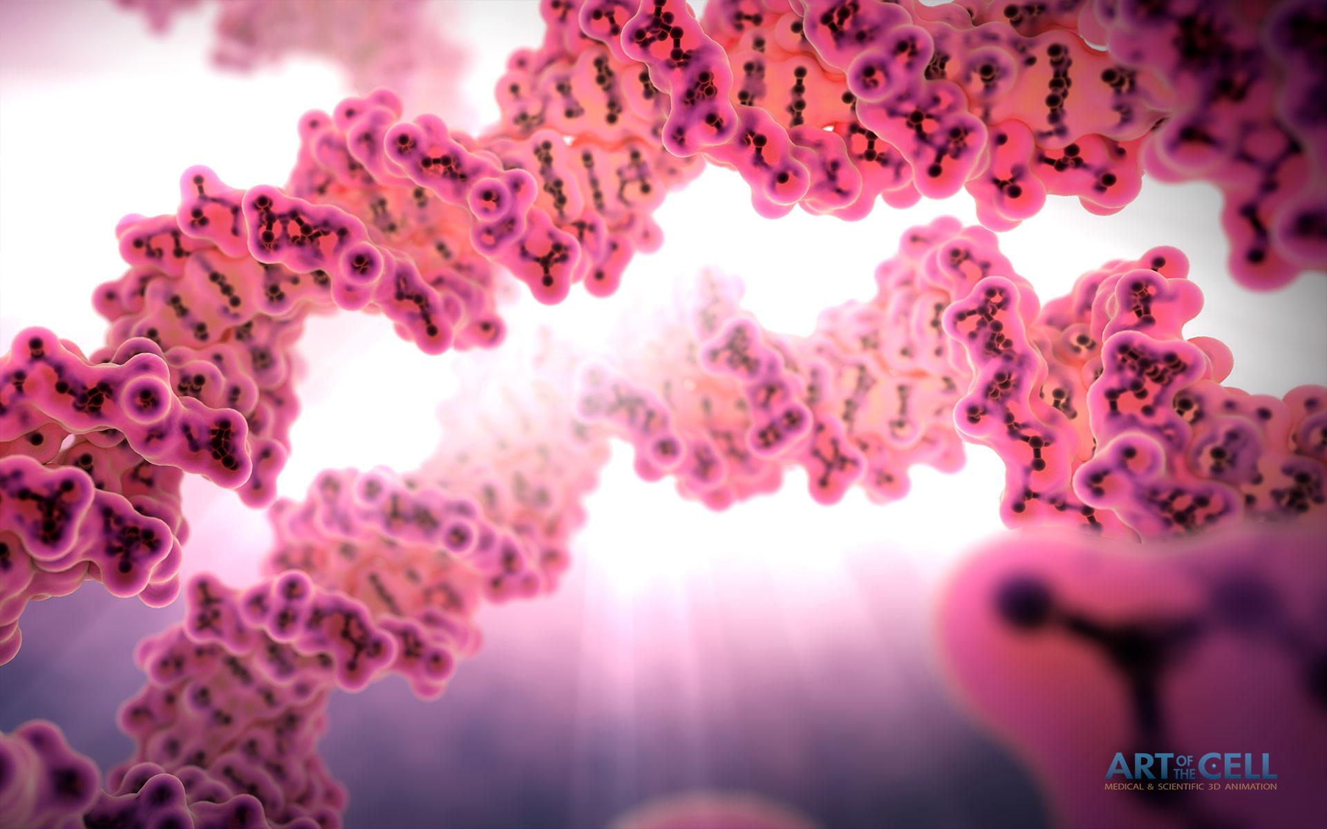 Pink Medical Wallpapers - Top Free Pink Medical Backgrounds ...