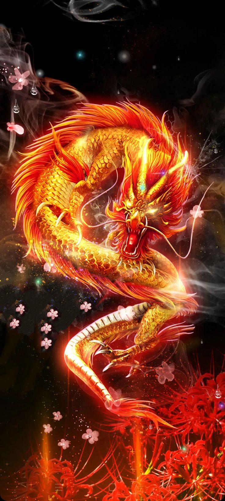 Anime Fire Dragon Wallpapers - Top Free Anime Fire Dragon Backgrounds ...