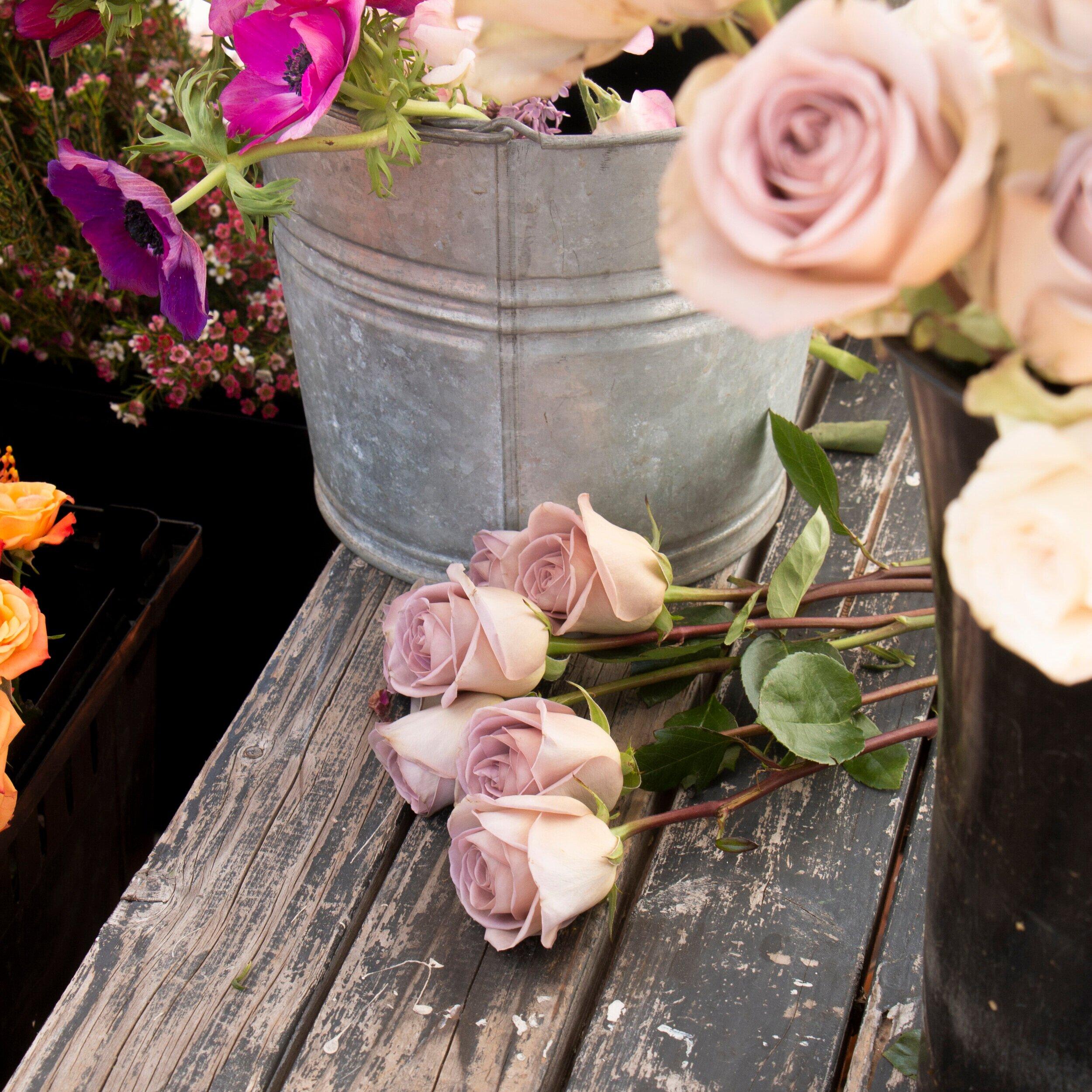 Rustic Rose Wallpapers - Top Free Rustic Rose Backgrounds - WallpaperAccess