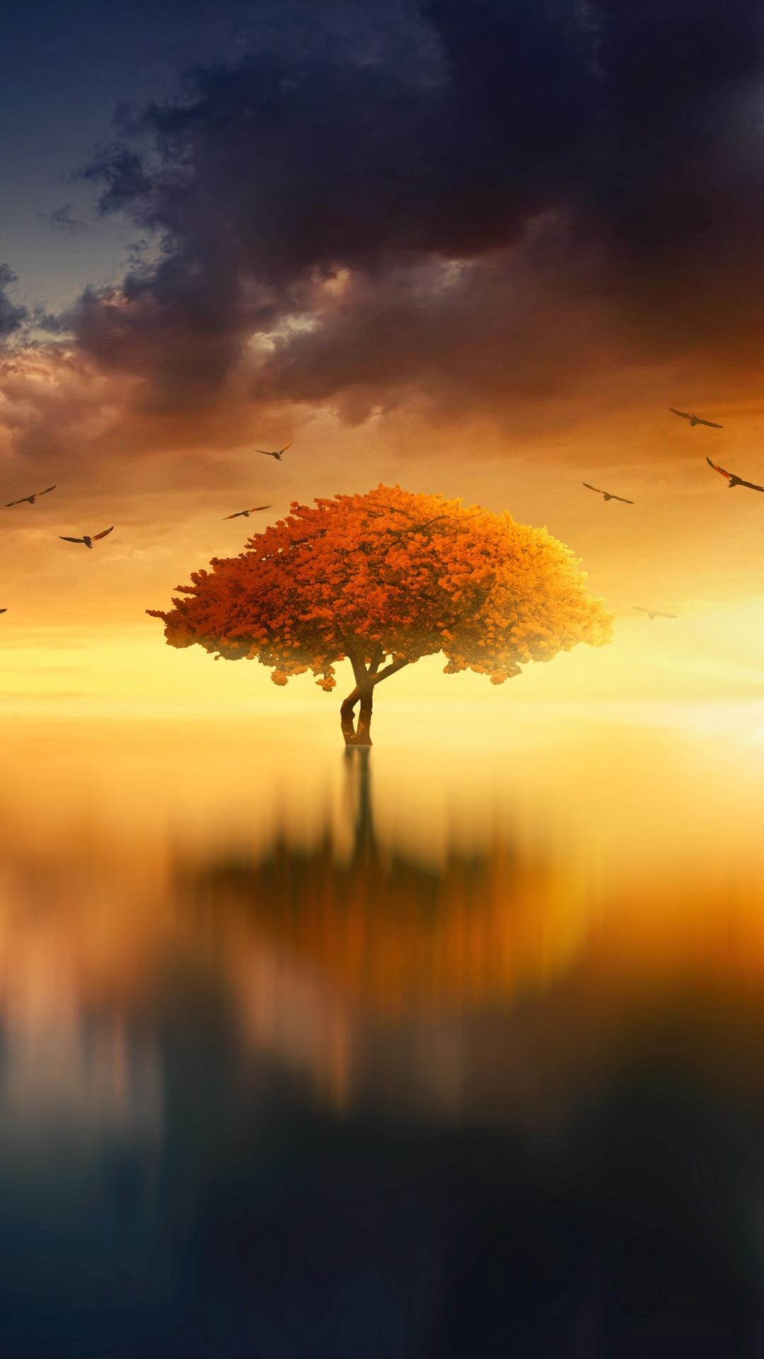 Sharp HD Sunset Wallpapers - Top Free Sharp HD Sunset Backgrounds ...