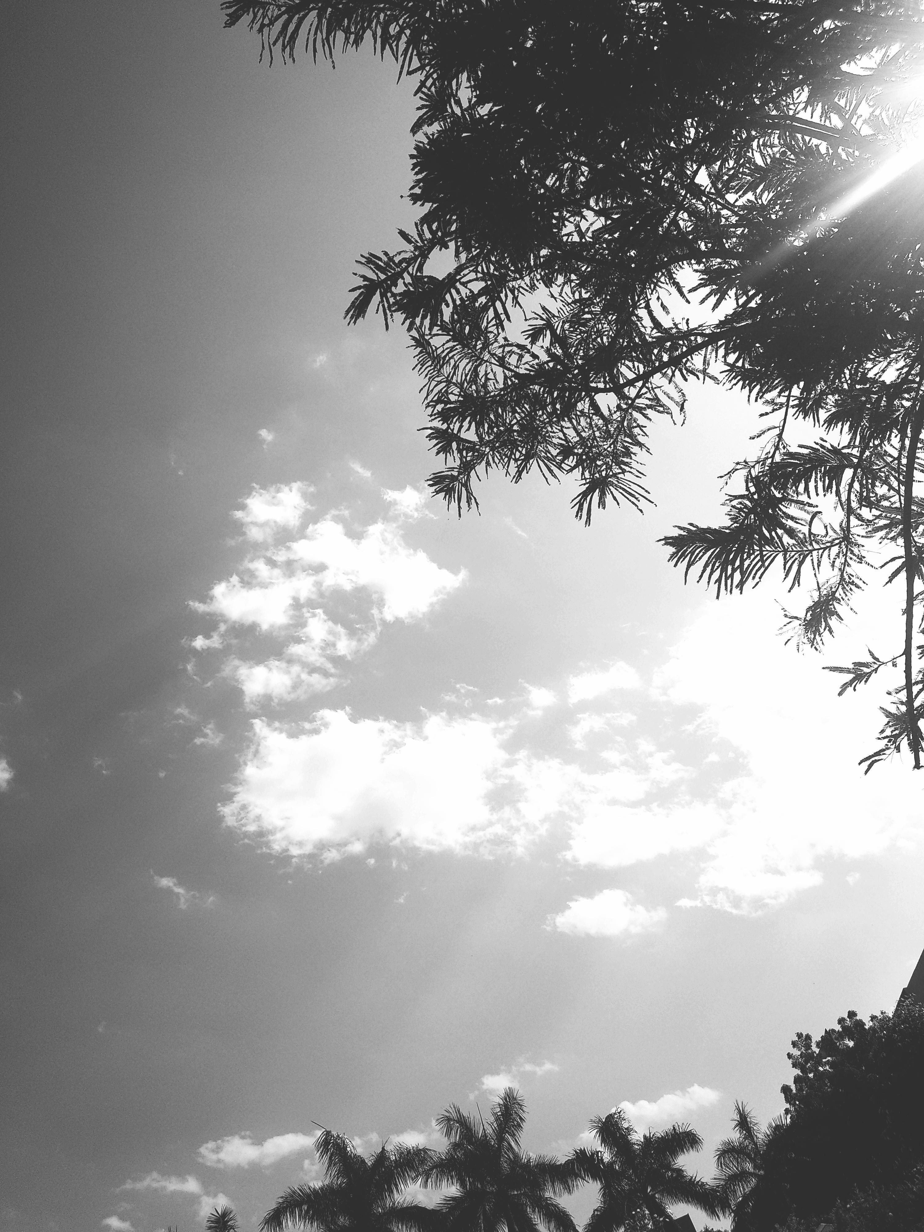 Sharp HD Sunset Wallpapers - Top Free Sharp HD Sunset Backgrounds ...