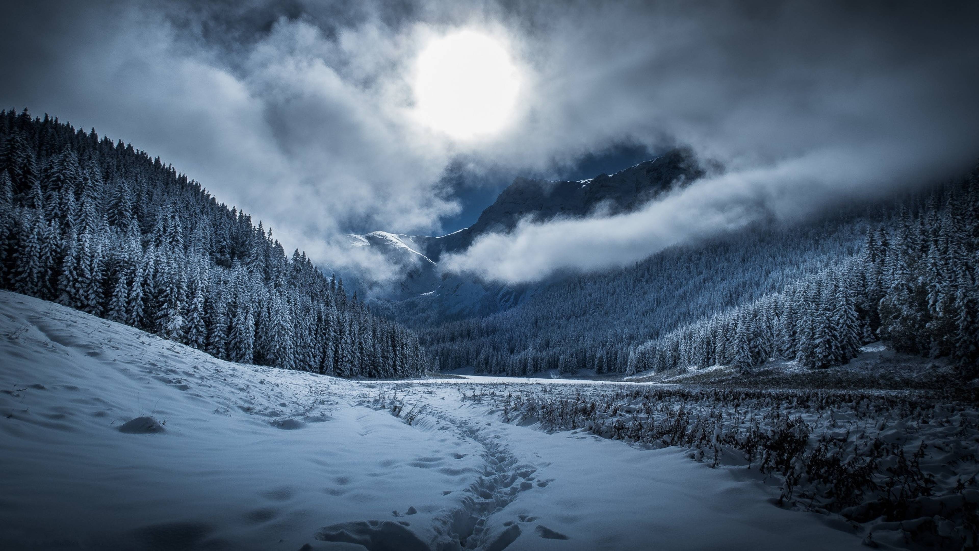 Twilight Book Wallpapers - Top Free Twilight Book Backgrounds ...