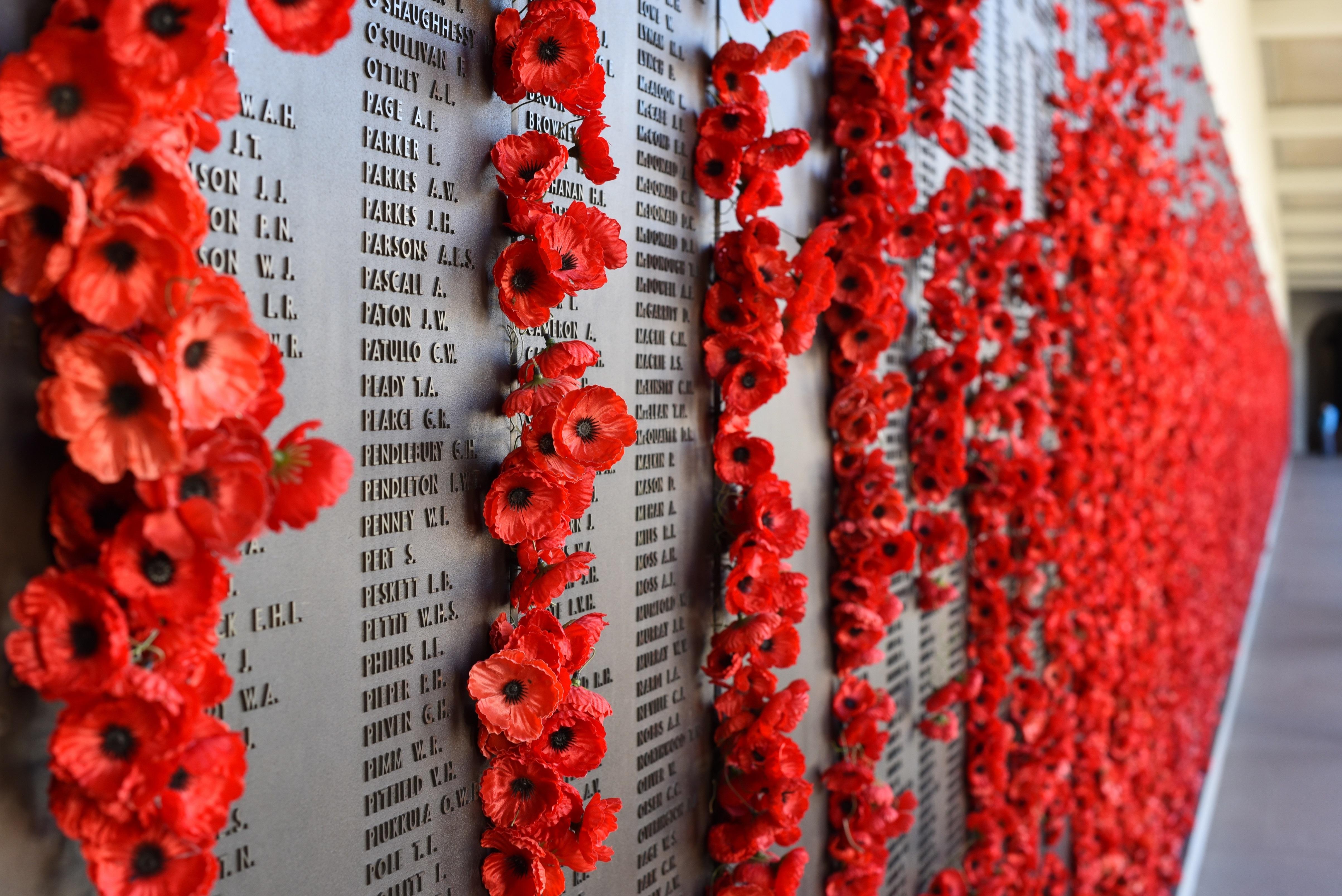 Remembrance Day Wallpapers - Top Free Remembrance Day Backgrounds ...
