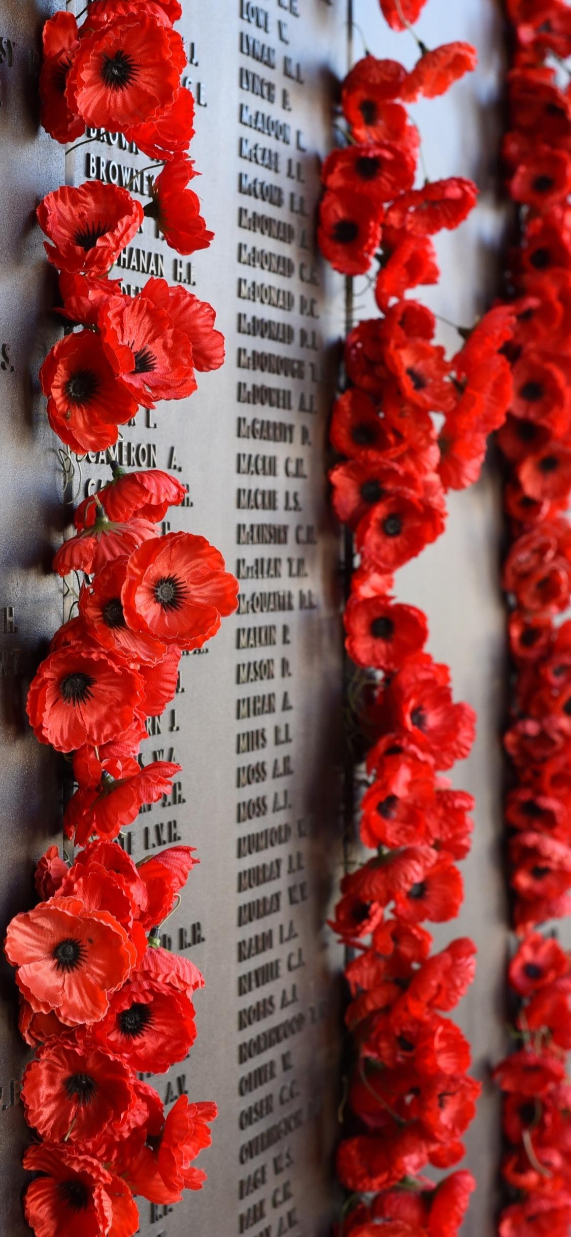 Remembrance Day Wallpapers - Top Free Remembrance Day Backgrounds ...