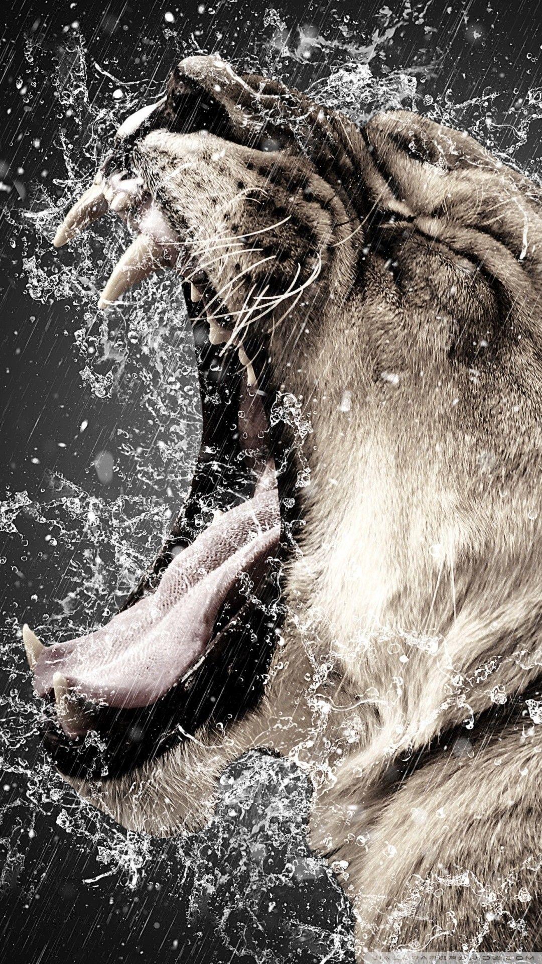 Rain Phone Wallpapers - Top Free Rain Phone Backgrounds - WallpaperAccess